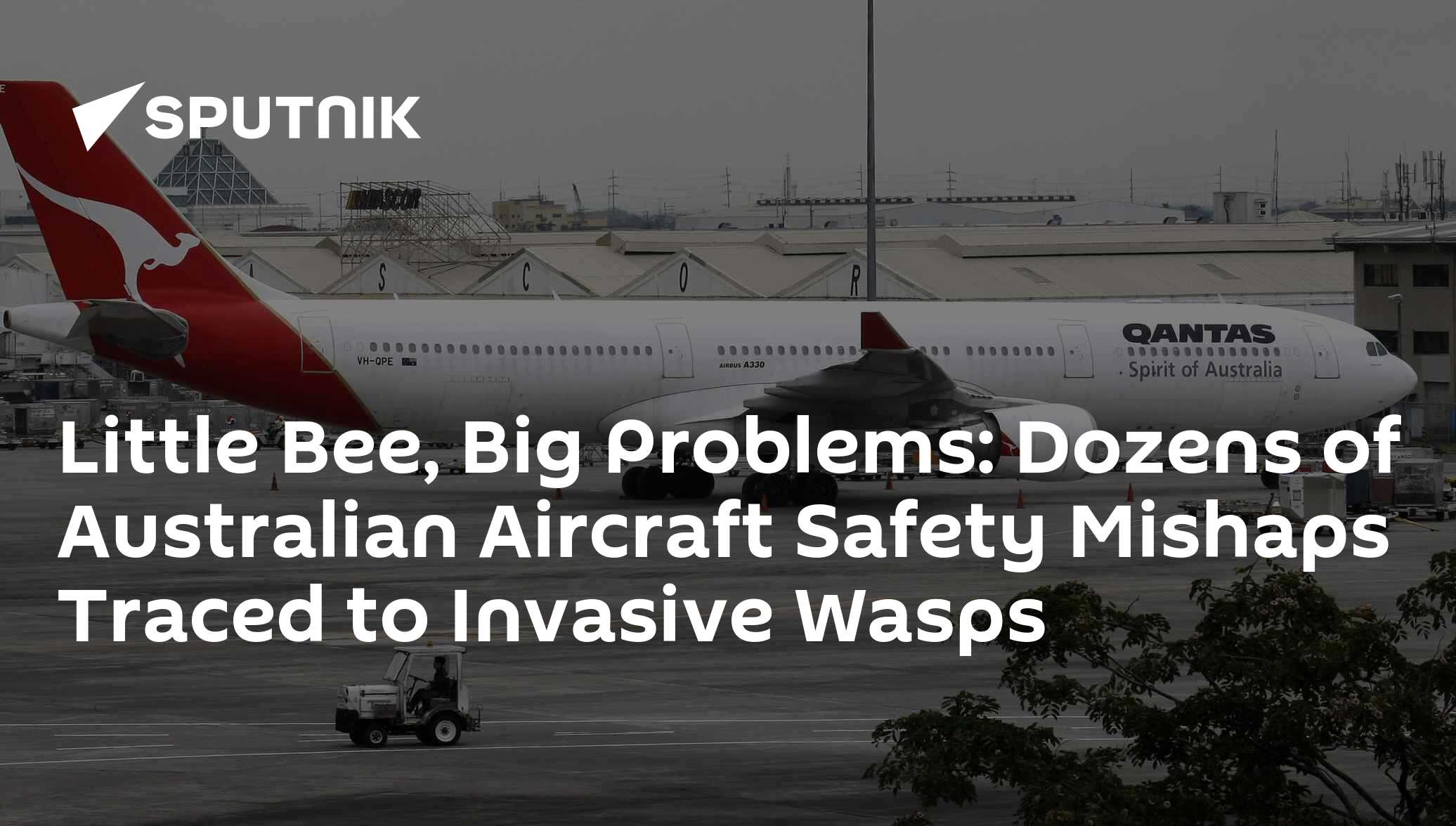 Little Bee, Big Problems: Dozens of Australian Aircraft Safety Mishaps ...