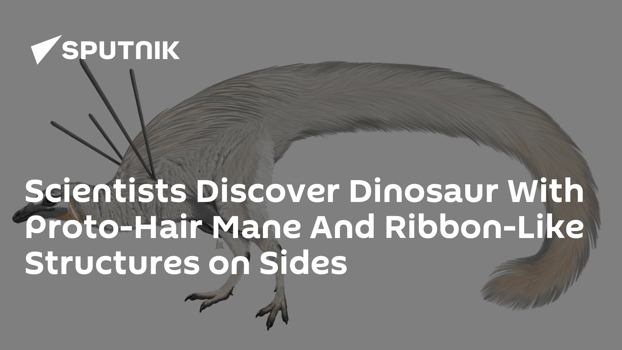 Scientists Discover Dinosaur With Proto-Hair Mane And Ribbon-Like ...
