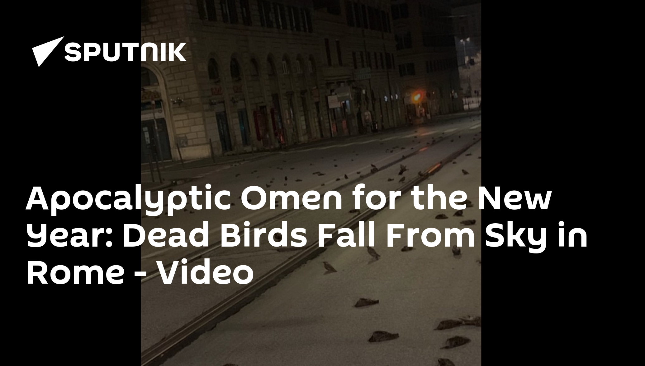 Apocalyptic Omen for the New Year: Dead Birds Fall From Sky in Rome - Video