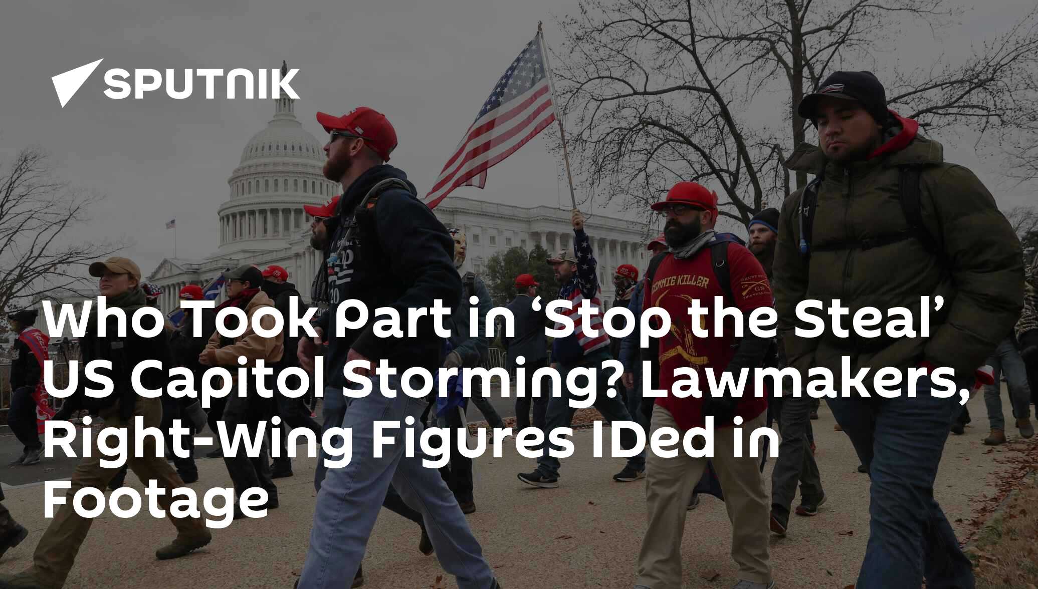 Who Took Part in ‘Stop the Steal’ US Capitol Storming? Lawmakers, Right ...