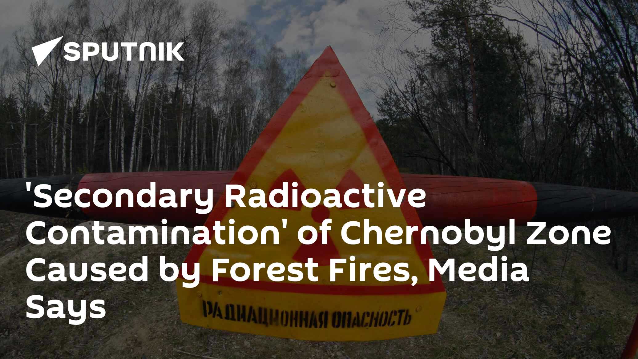 'Secondary Radioactive Contamination' of Chernobyl Zone Caused by ...