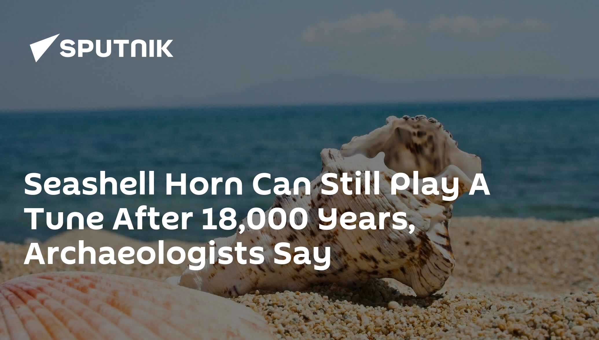 Seashell Horn Can Still Play A Tune After 18,000 Years, Archaeologists Say