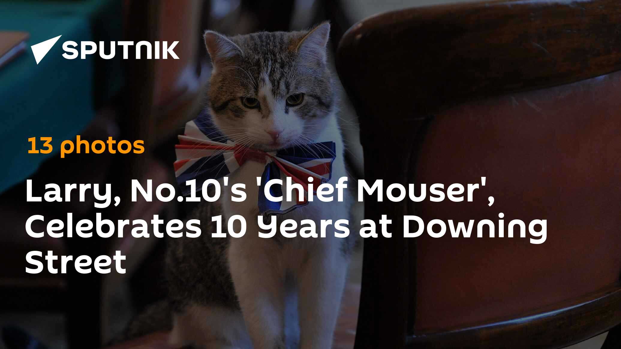 Larry, No.10's 'Chief Mouser', Celebrates 10 Years at Downing Street ...