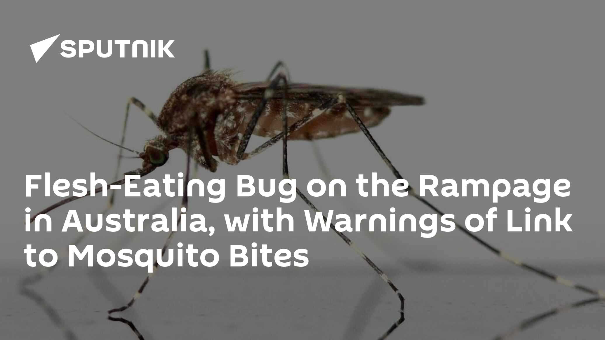 Flesh-Eating Bug on the Rampage in Australia, with Warnings of Link to ...