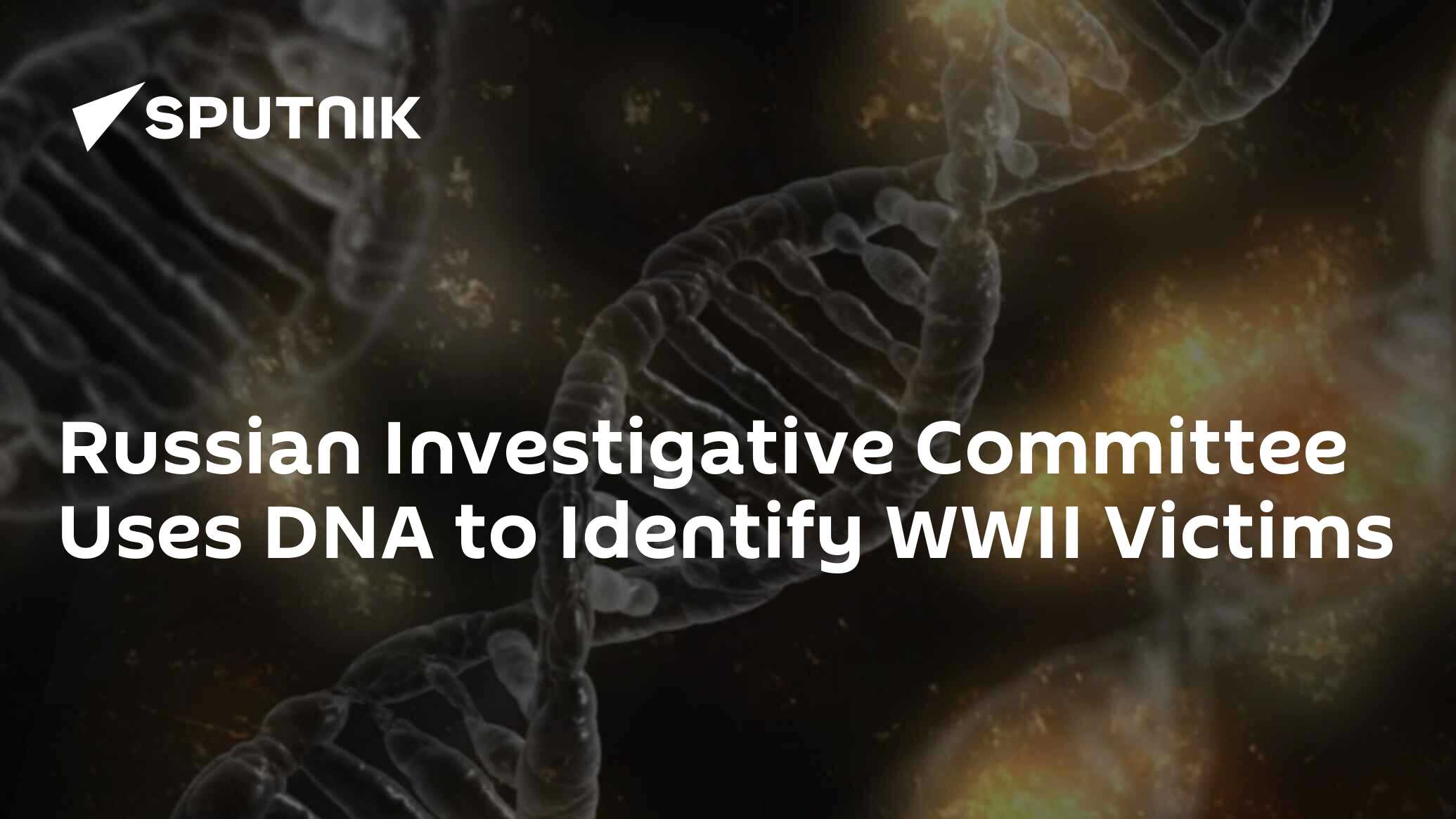 Russian Investigative Committee Uses DNA to Identify WWII Victims
