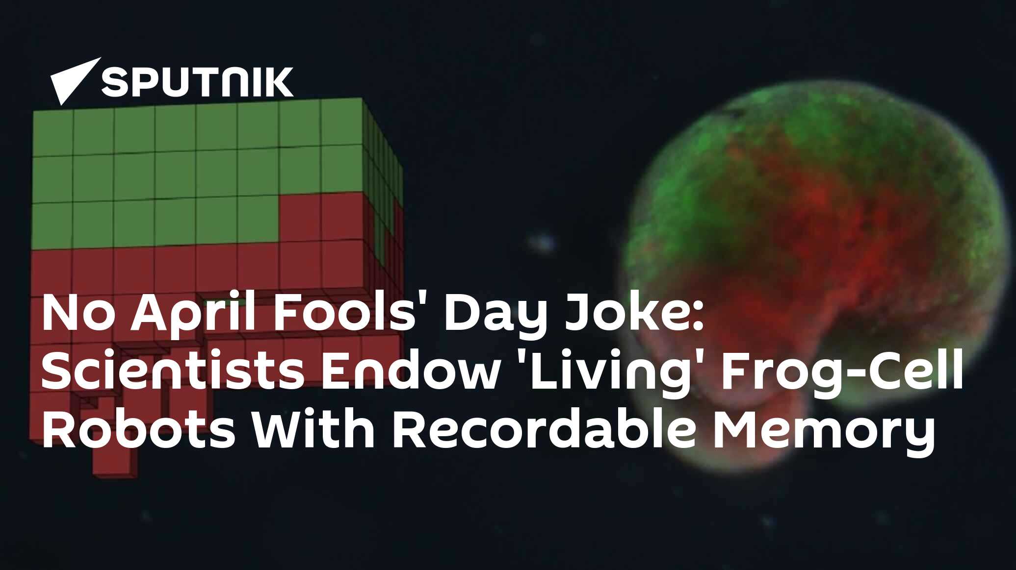 No April Fools' Day Joke: Scientists Endow 'Living' Frog-Cell Robots ...