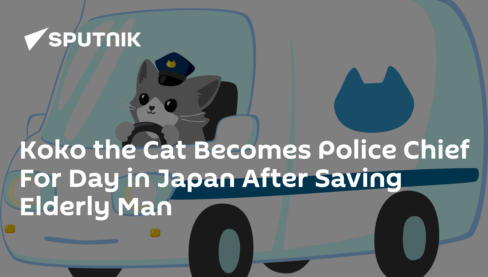Koko the Cat Becomes Police Chief For Day in Japan After Saving Elderly Man