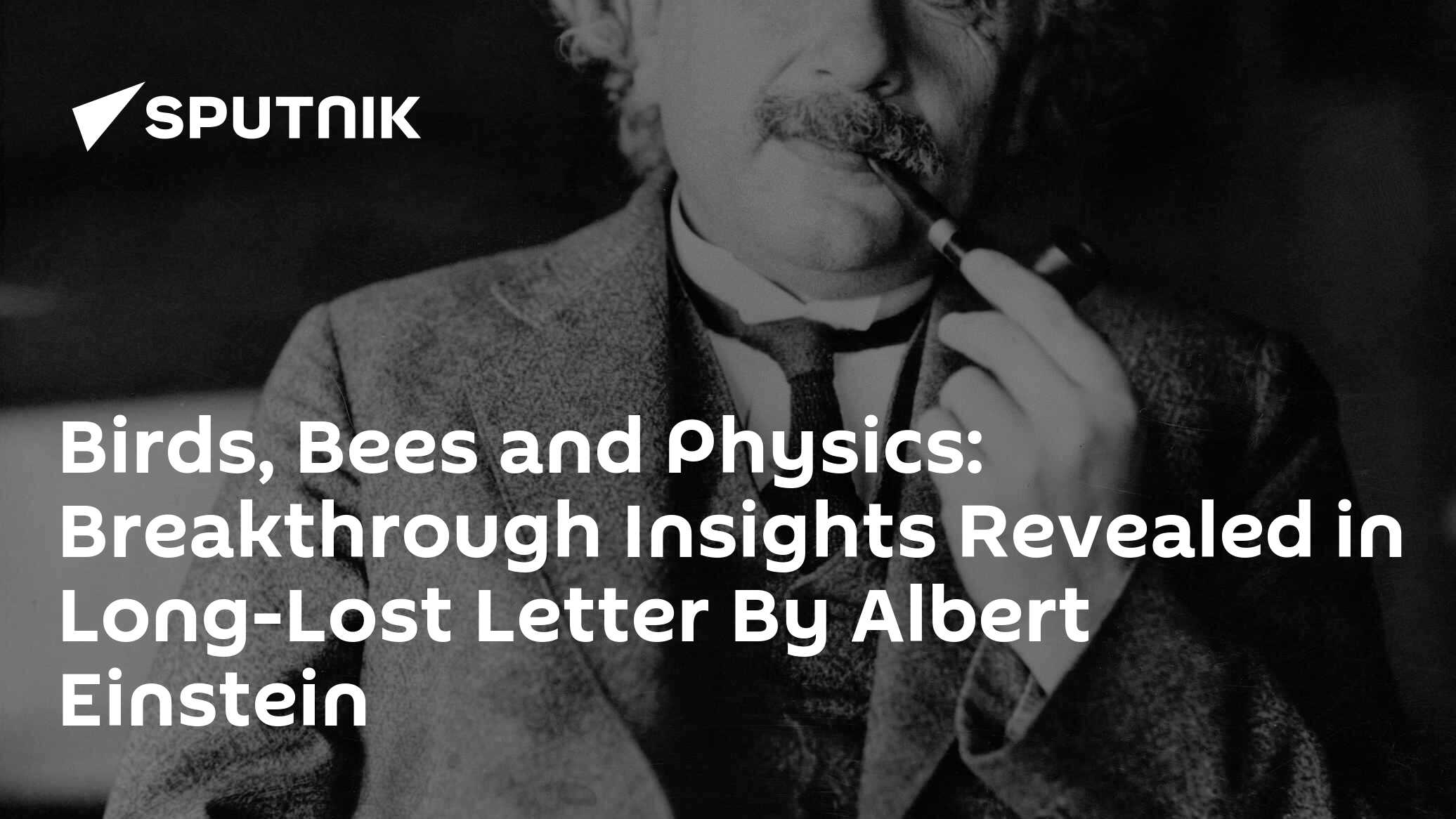 Birds, Bees and Physics: Breakthrough Insights Revealed in Long-Lost ...