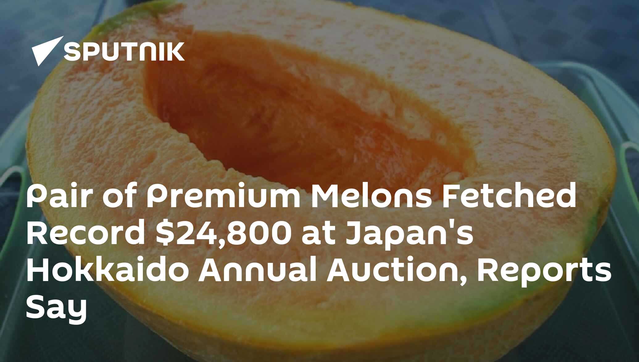 Pair of Premium Melons Fetched Record $24,800 at Japan's Hokkaido ...