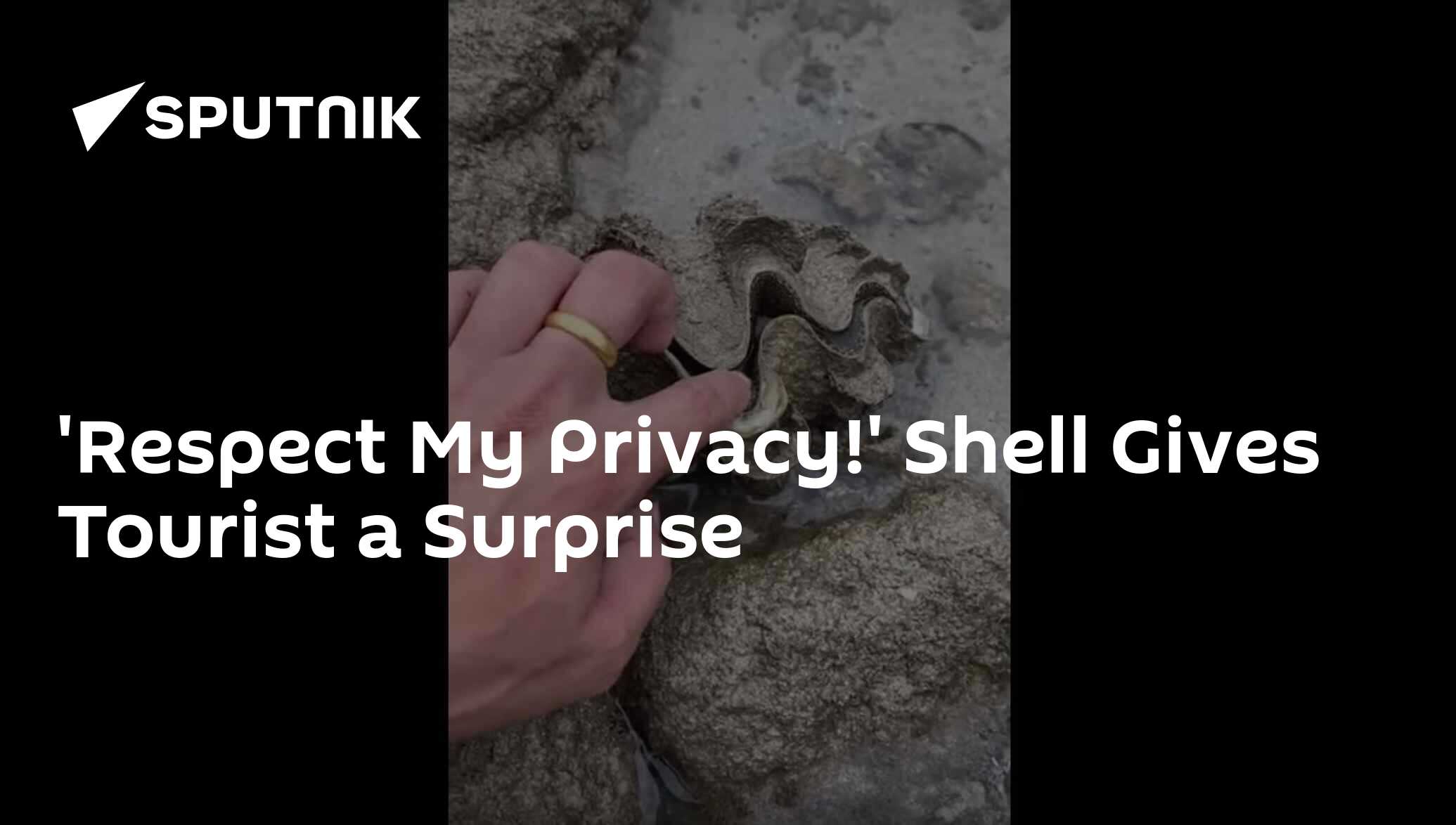 'Respect My Privacy!' Shell Gives Tourist a Surprise
