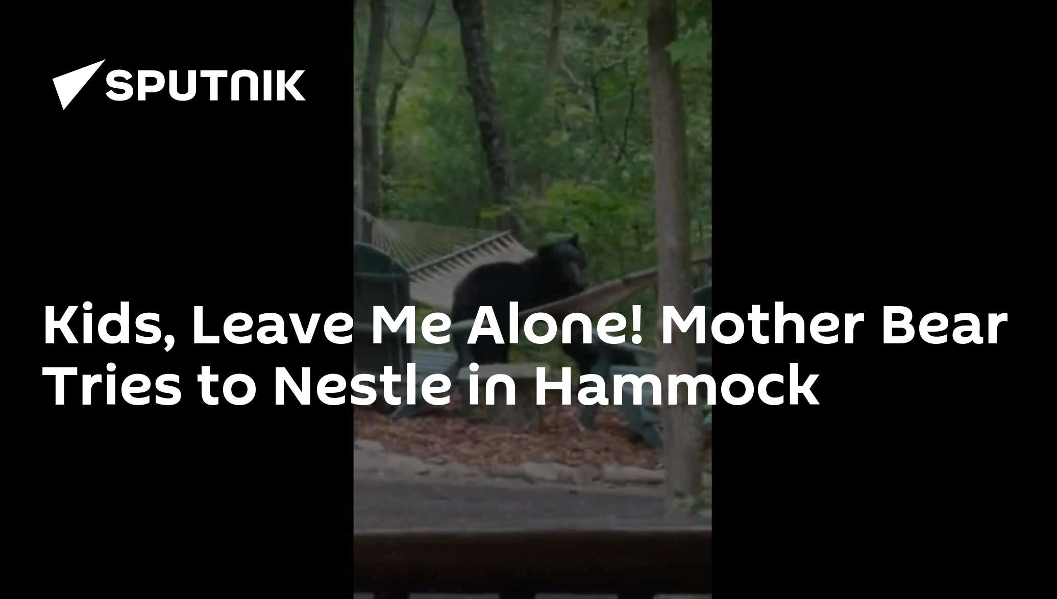 Kids, Leave Me Alone! Mother Bear Tries to Nestle in Hammock