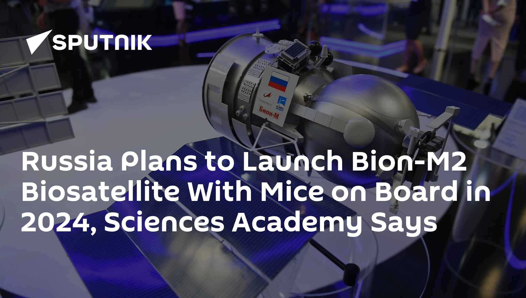Russia Plans to Launch Bion-M2 Biosatellite With Mice on Board in 2024 ...