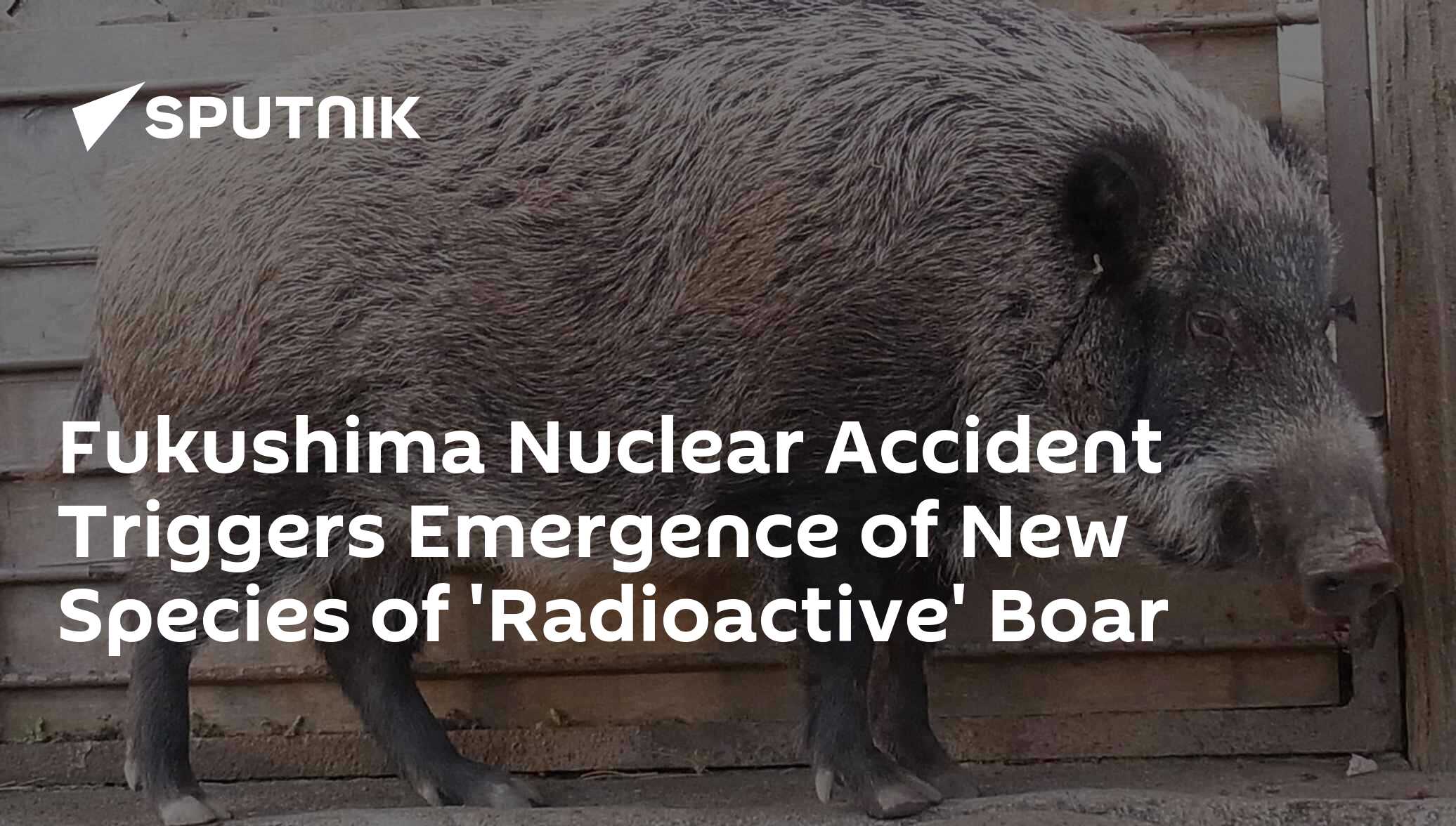 Fukushima Nuclear Accident Triggers Emergence of New Species of ...