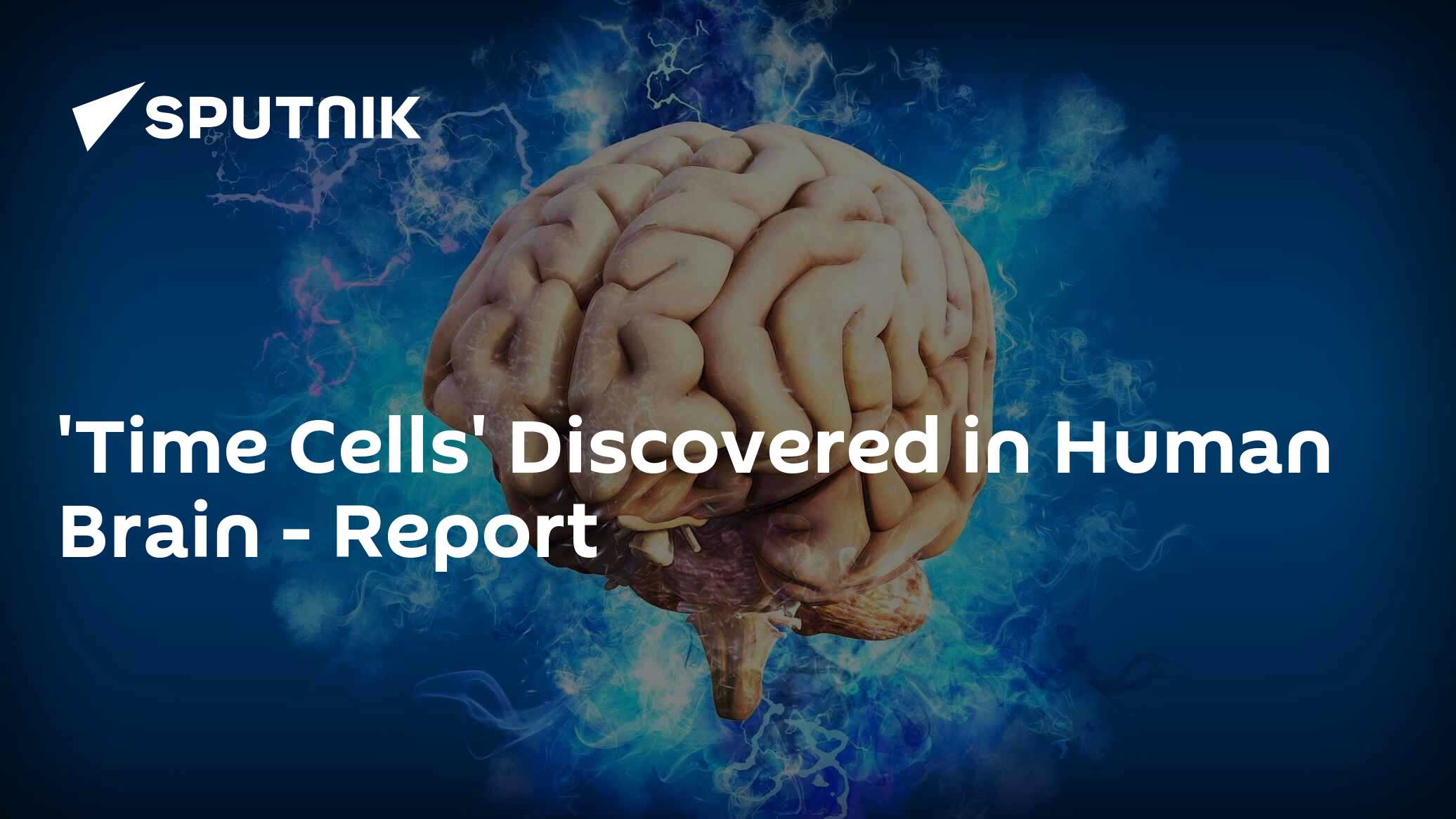 'Time Cells' Discovered in Human Brain - Report