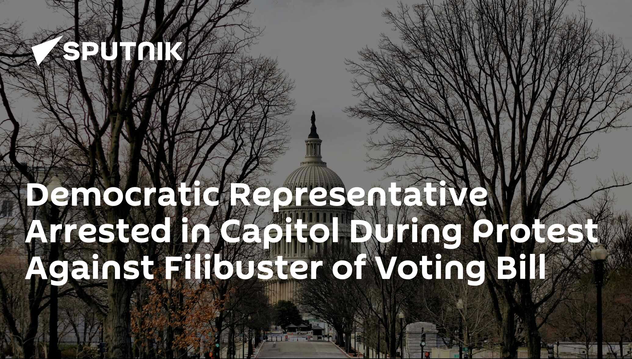 Democratic Representative Arrested in Capitol During Protest Against ...