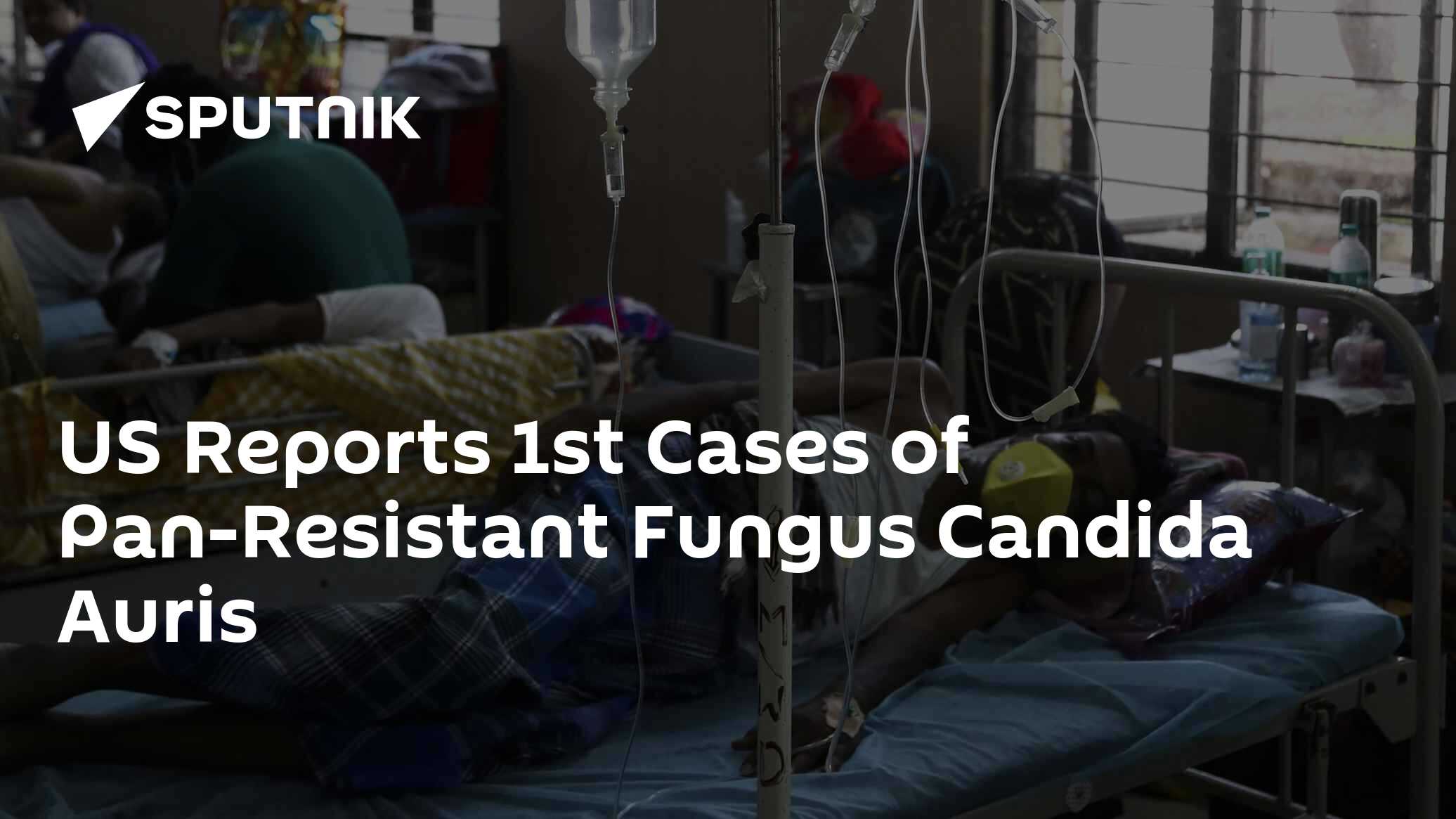 US Reports 1st Cases of Pan-Resistant Fungus Candida Auris - 23.07.2021 ...