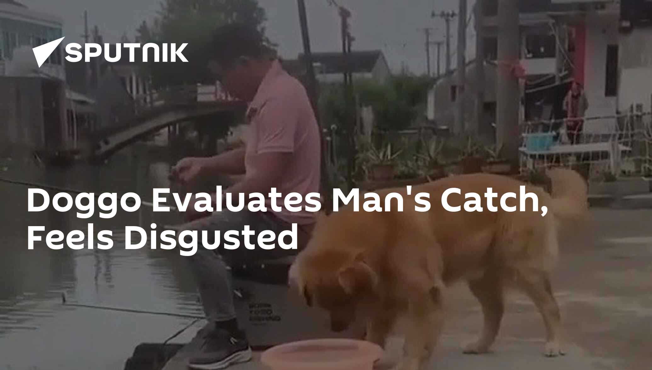 Doggo Evaluates Man's Catch, Feels Disgusted - 01.09.2021, Sputnik ...