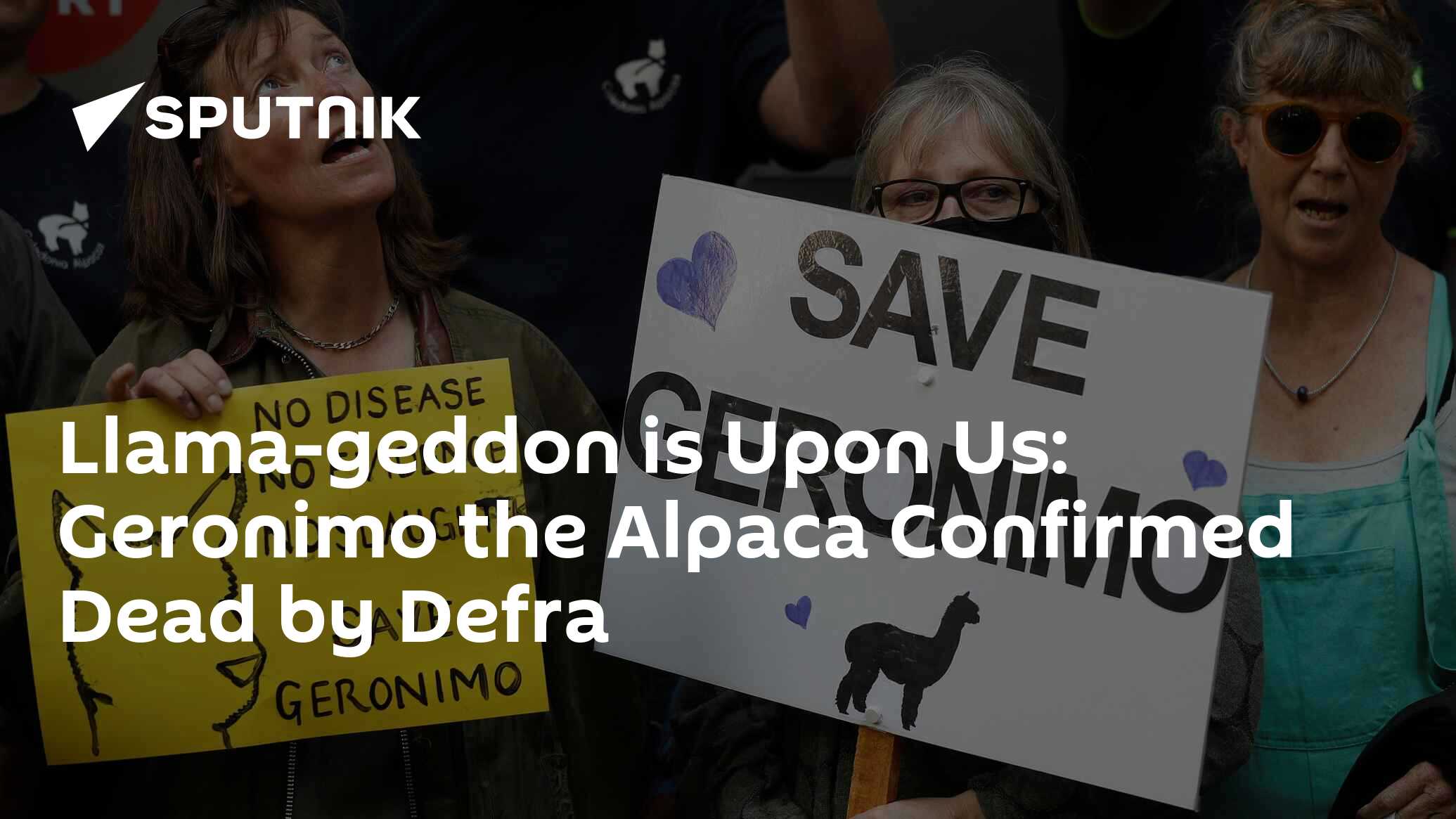 Llama-geddon is Upon Us: Geronimo the Alpaca Confirmed Dead by Defra ...