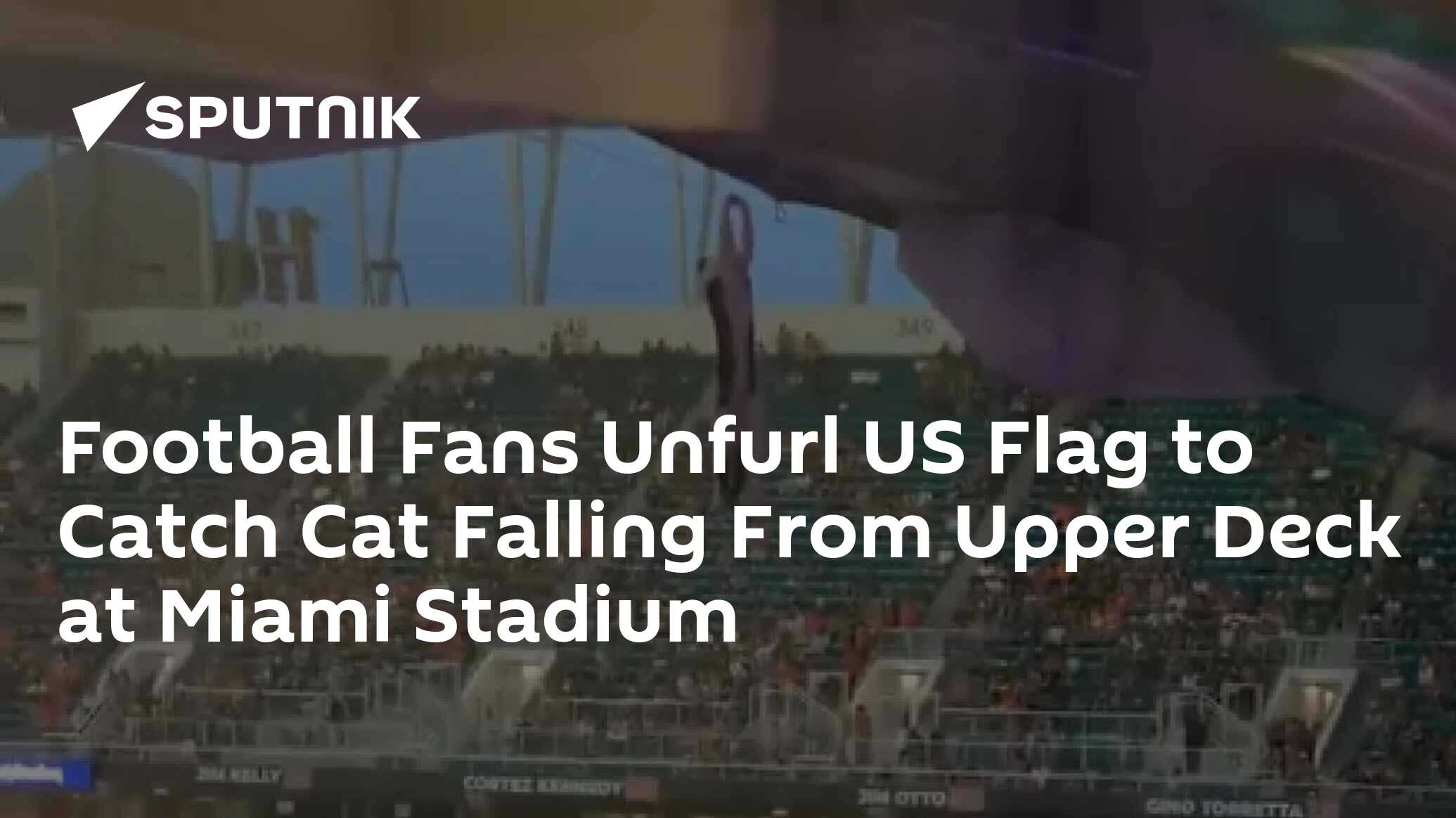 Football Fans Unfurl US Flag to Catch Cat Falling From Upper Deck at ...