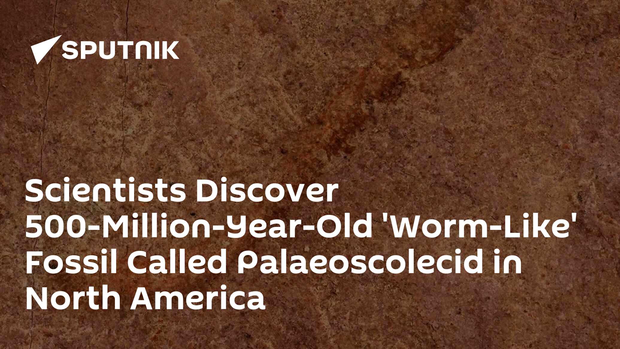 Scientists Discover 500-Million-Year-Old 'Worm-Like' Fossil Called ...