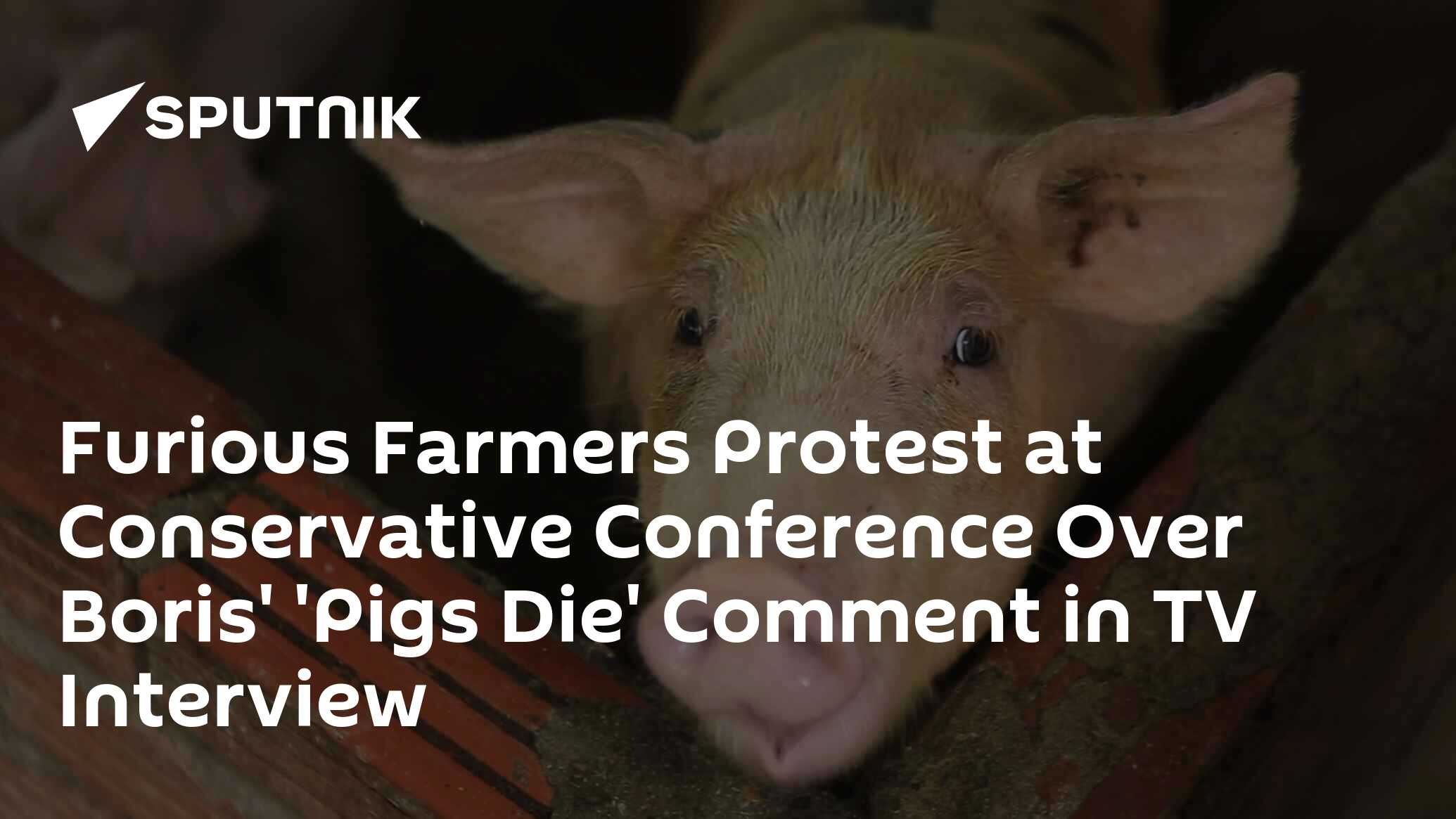 Furious Farmers Protest at Conservative Conference Over Boris' 'Pigs ...