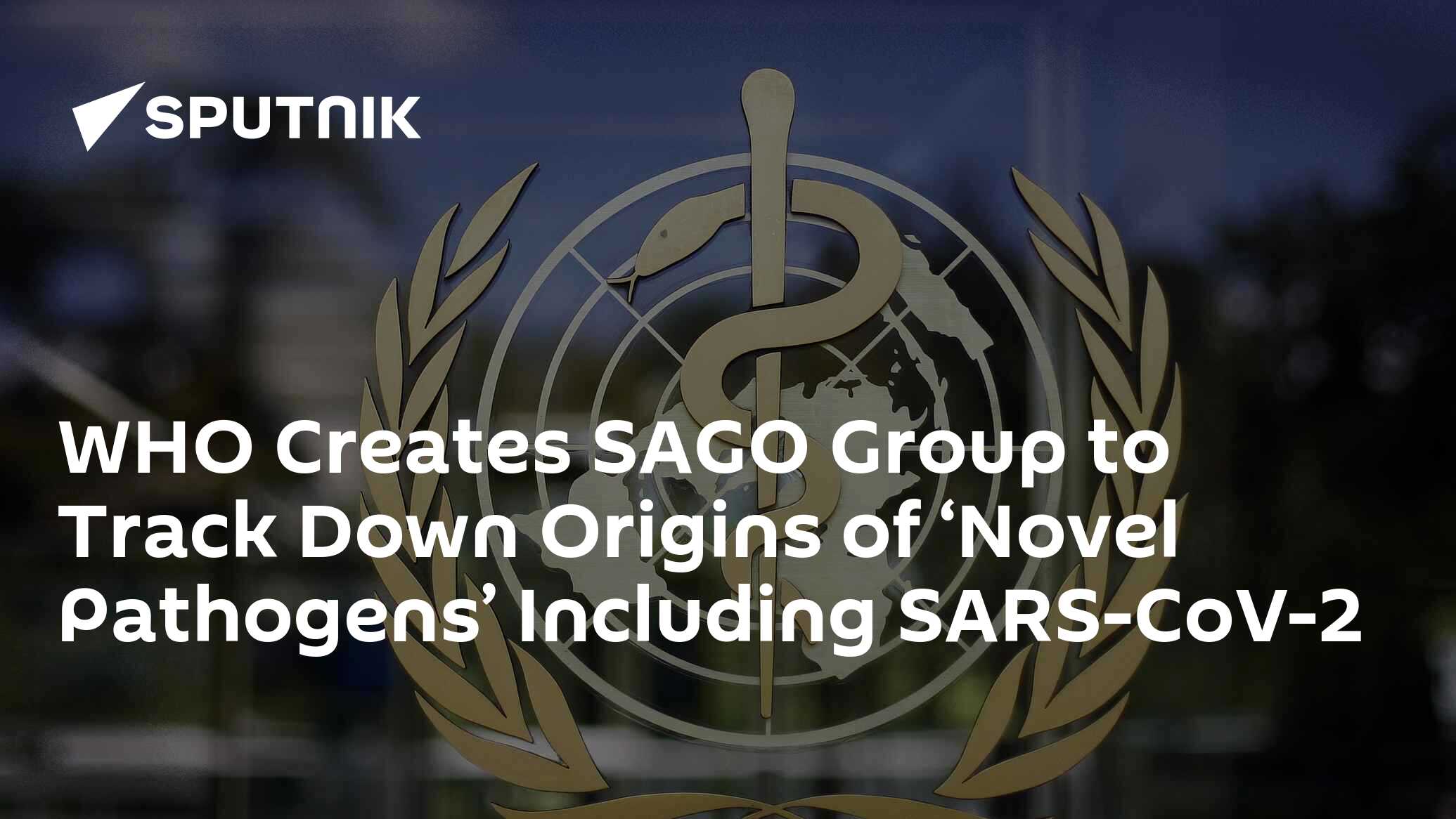 WHO Creates SAGO Group to Track Down Origins of ‘Novel Pathogens ...