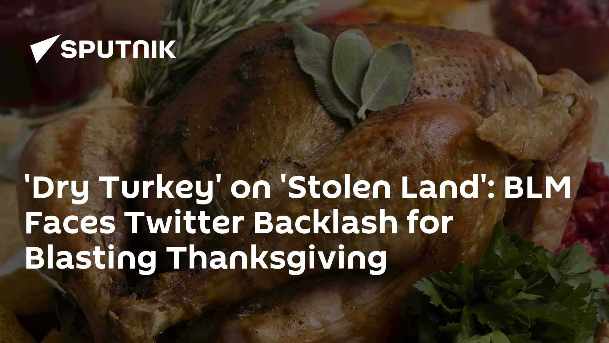 'Dry Turkey' on 'Stolen Land': BLM Faces Twitter Backlash for Blasting ...