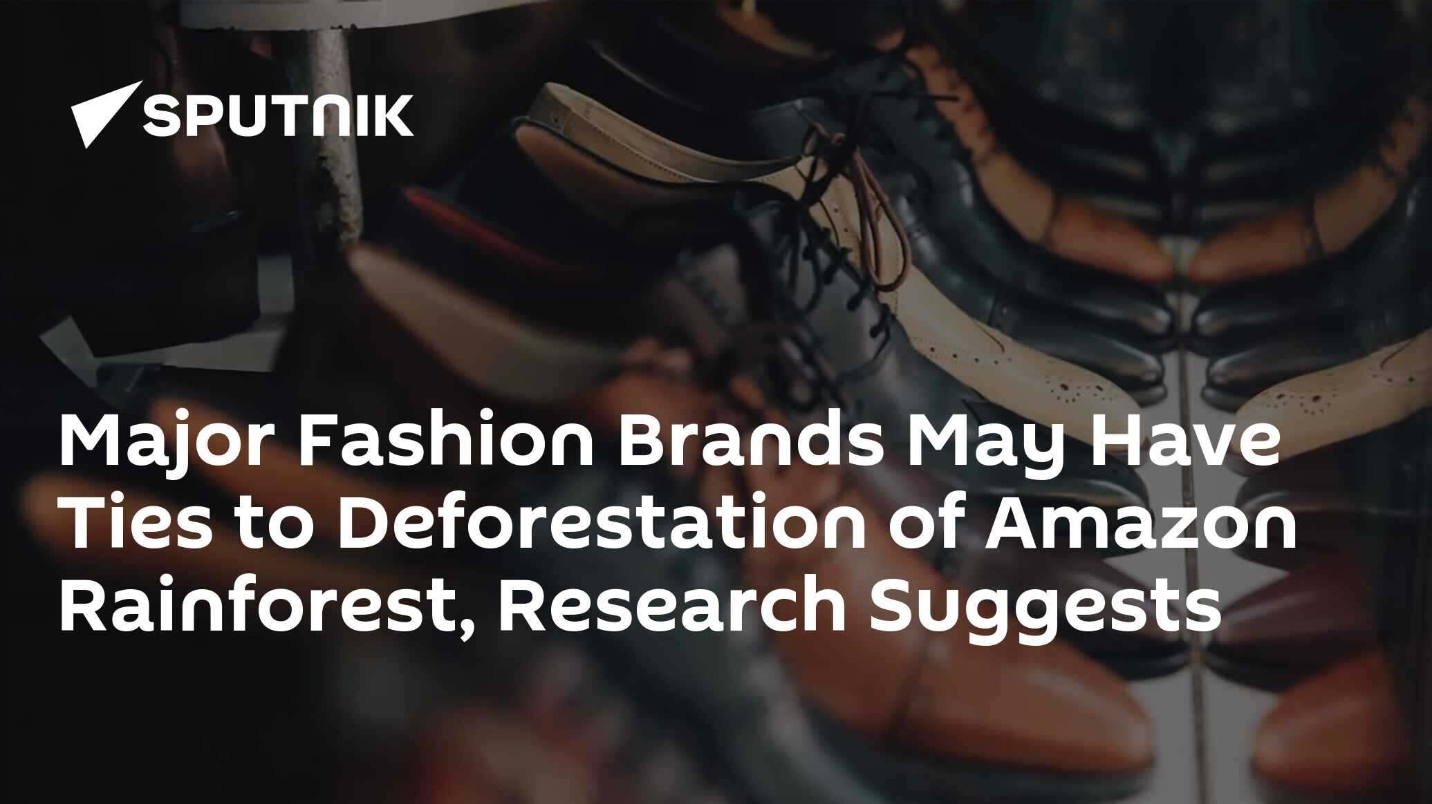 Major Fashion Brands May Have Ties to Deforestation of Amazon ...