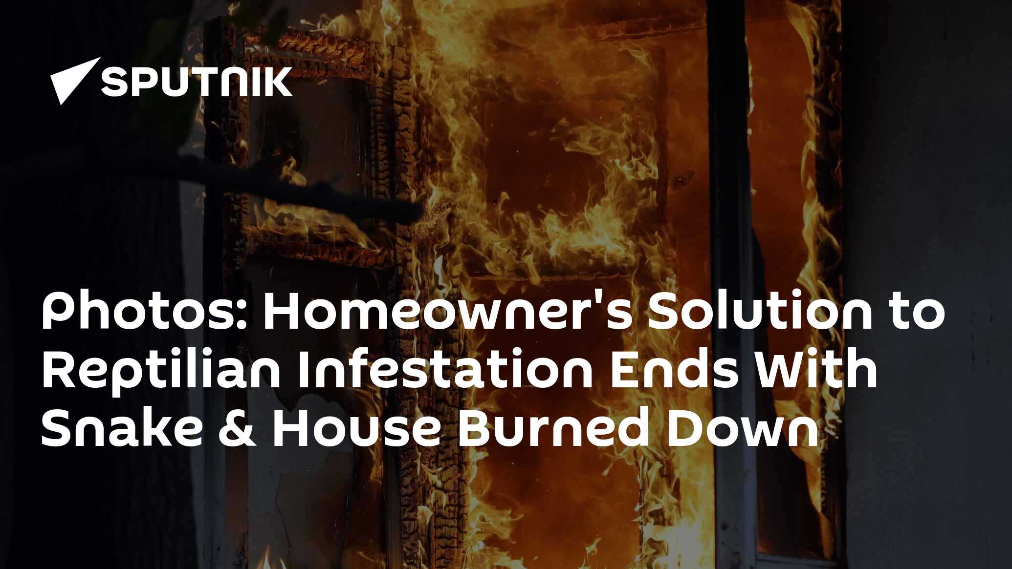 Homeowner Burns Down Own House in Attempt to Smoke Out Snake Infestation