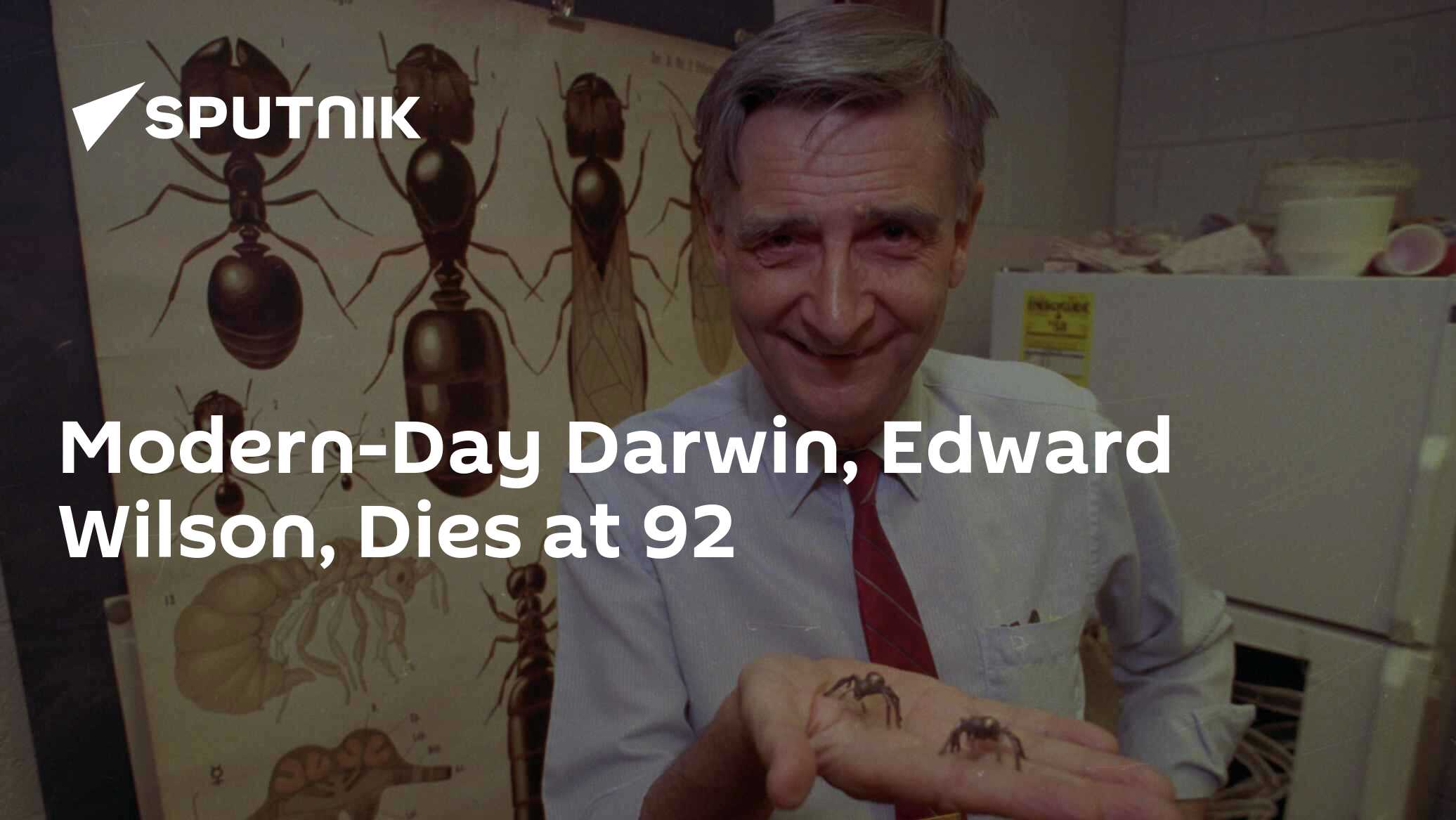 Modern-Day Darwin, Edward Wilson, Dies at 92