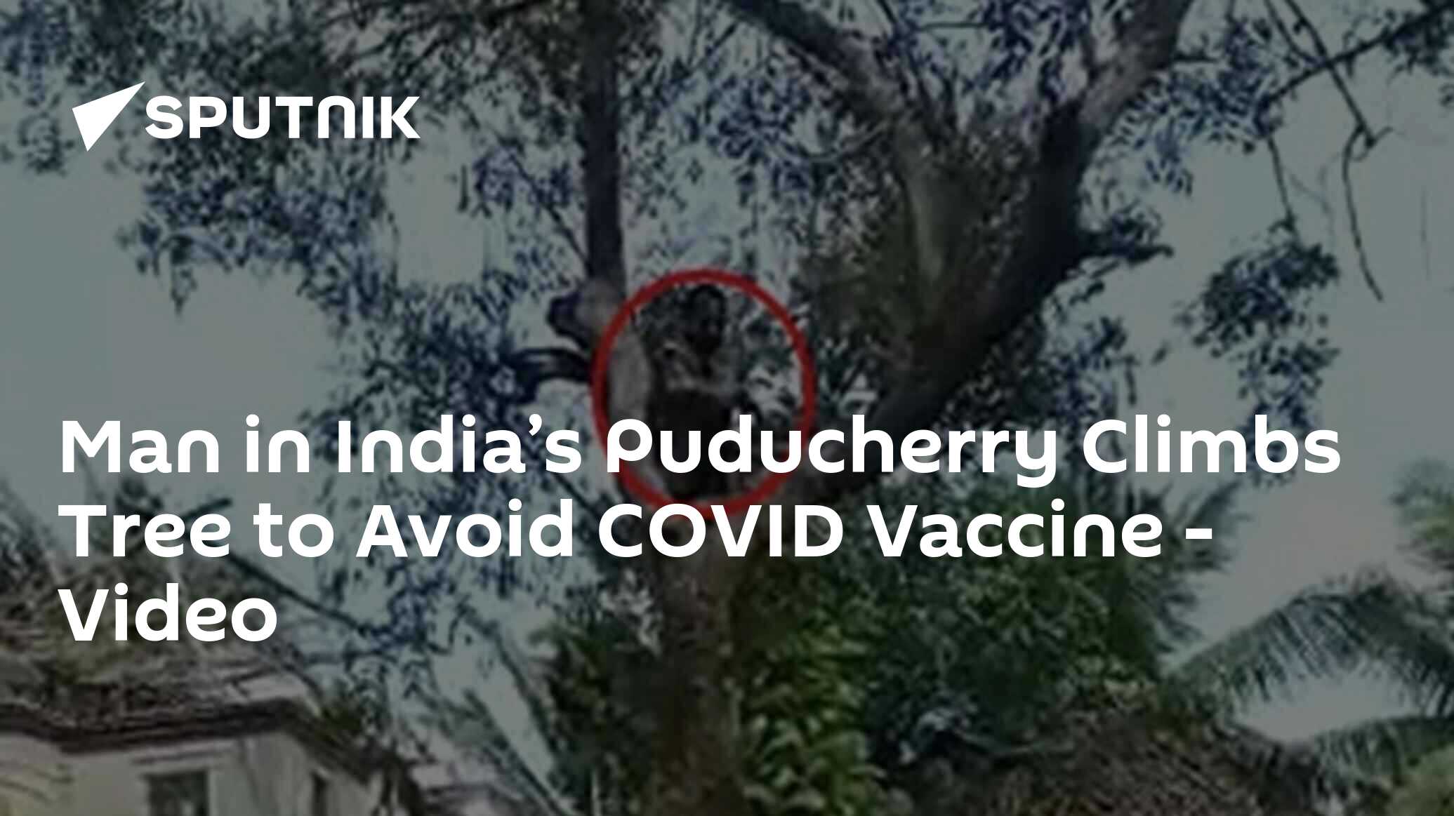 Man in India’s Puducherry Climbs Tree to Avoid COVID Vaccine - Video ...