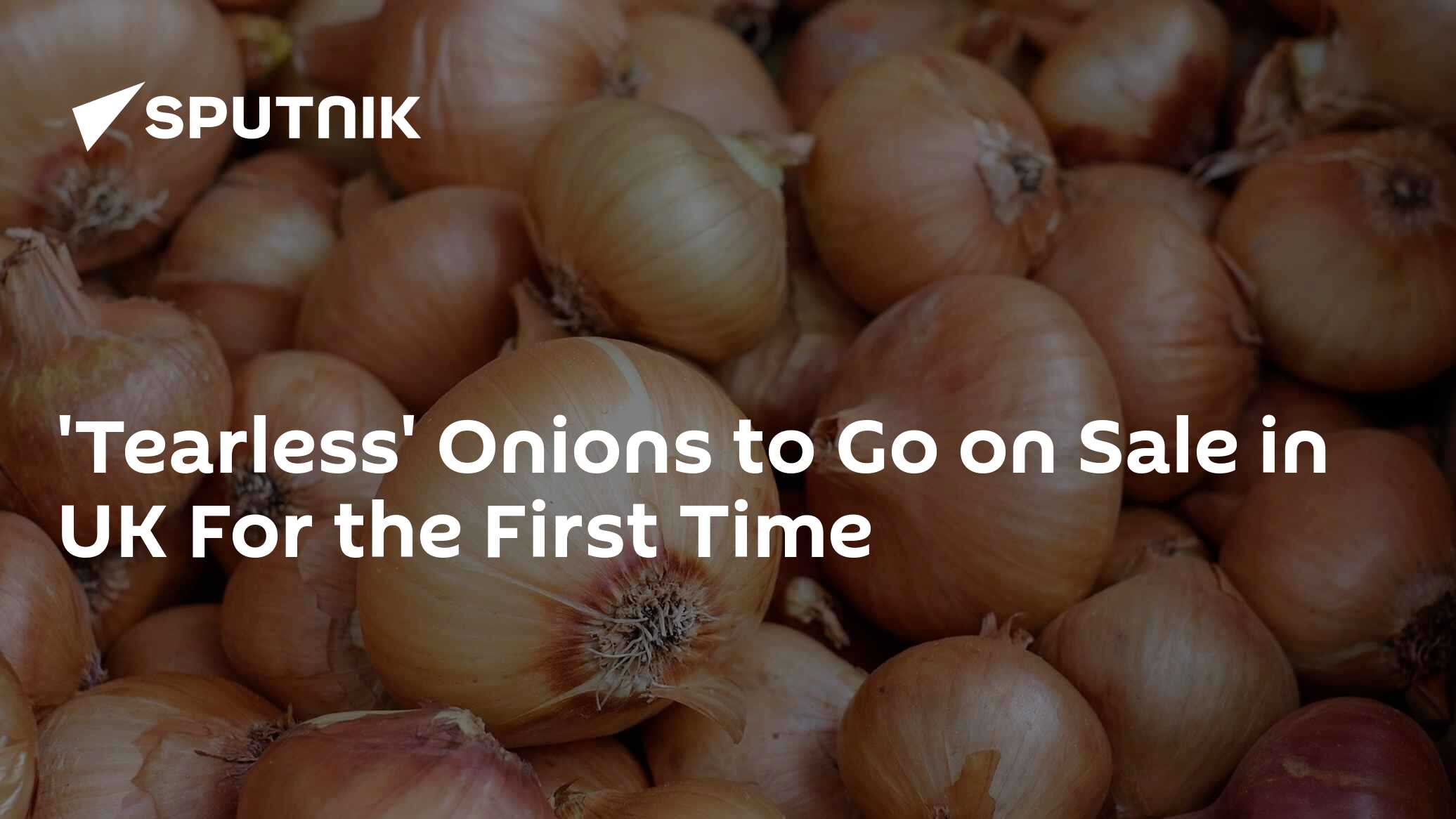 'Tearless' Onions to Go on Sale in UK For the First Time