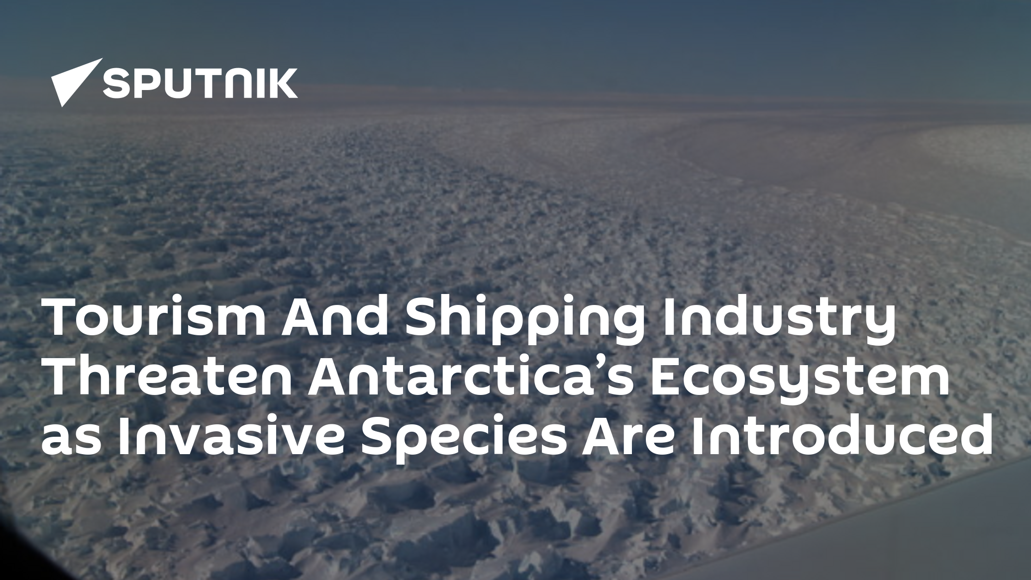 Tourism, Shipping Threaten Antarctica’s Ecosystem as Invasive Species ...