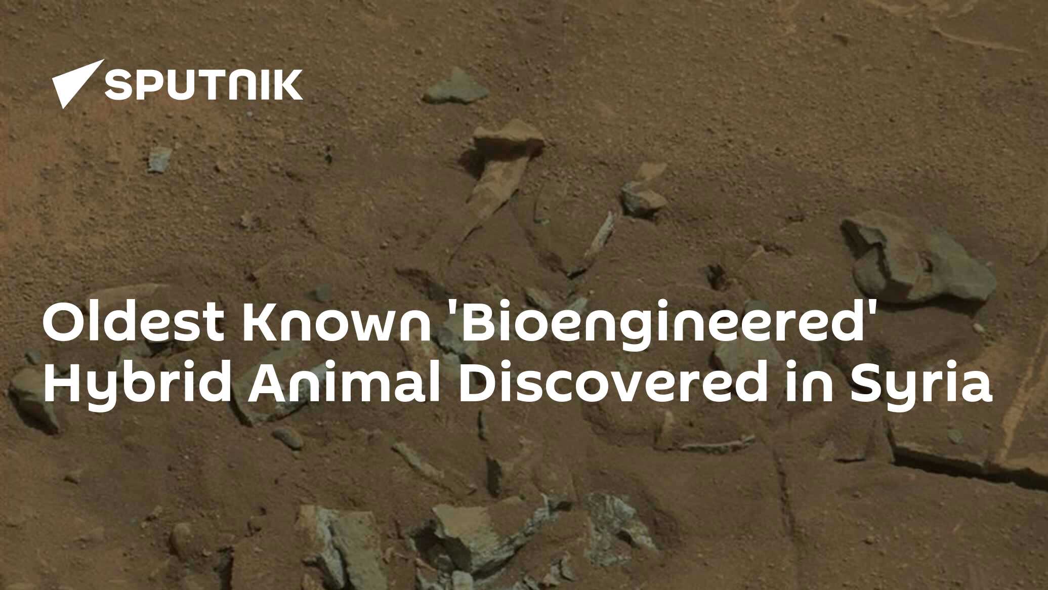 Scientists Discover ‘Bioengineered’ Hybrid Animals in Syria