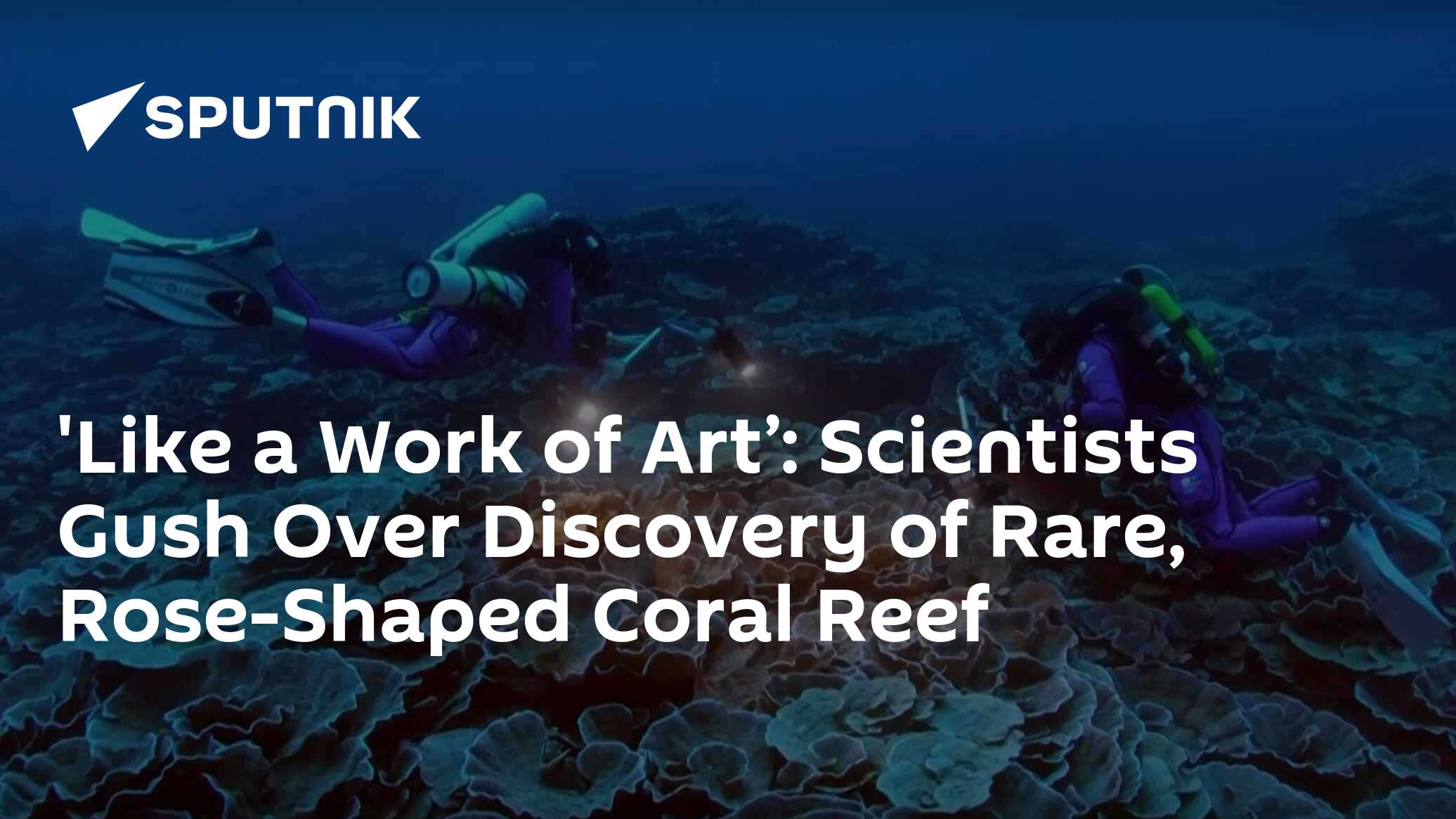 'Like a Work of Art’: Scientists Gush Over Discovery of Rare, Rose ...