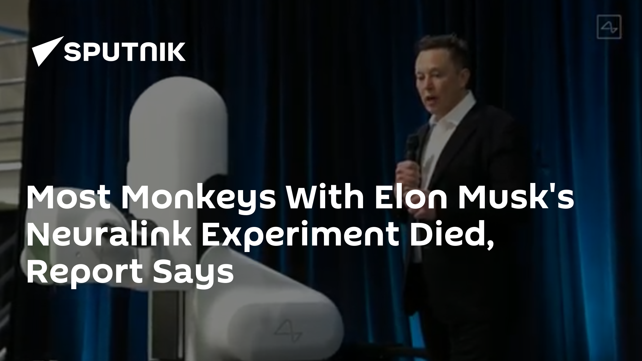 Most Monkeys With Elon Musk's Neuralink Experiment Died, Report Says ...