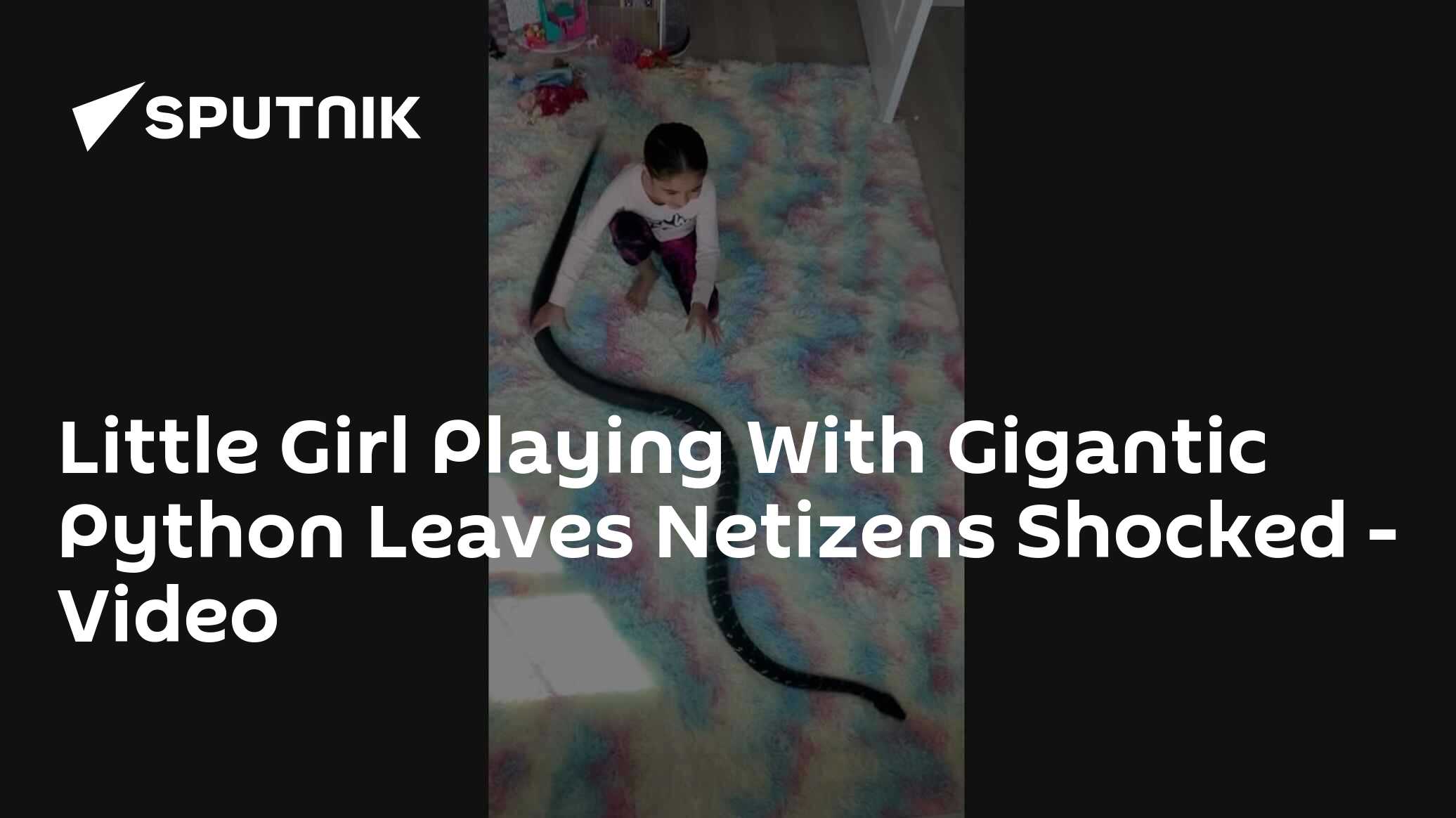 Little Girl Playing With Gigantic Python Leaves Netizens Shocked ...