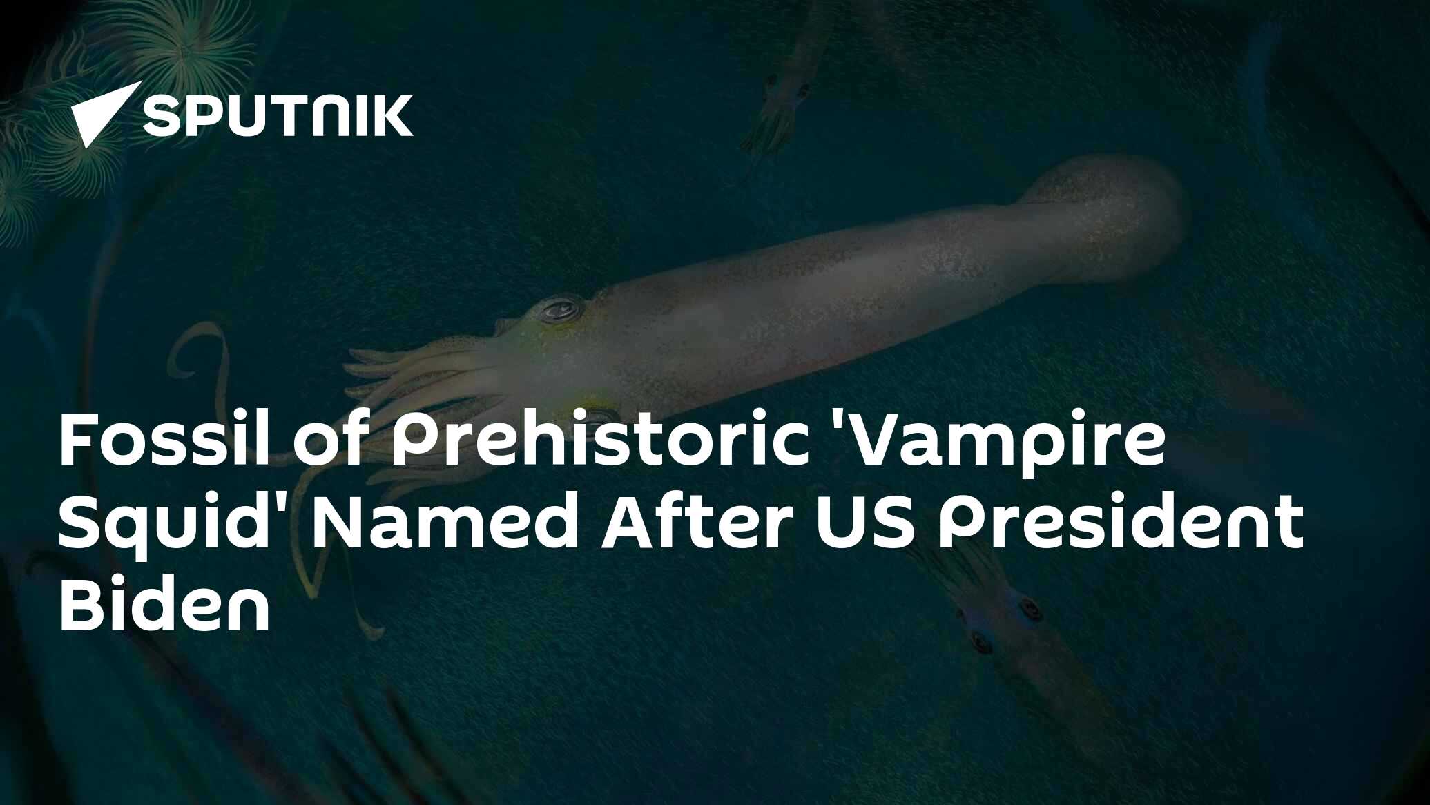 Fossil of Prehistoric 'Vampire Squid' Named After US President Biden ...
