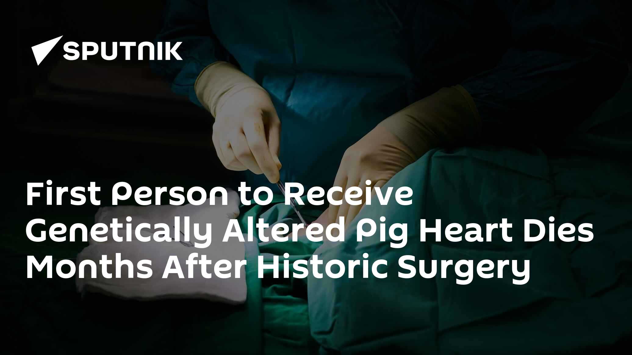 First Person to Receive Genetically Altered Pig Heart Dies Months After ...
