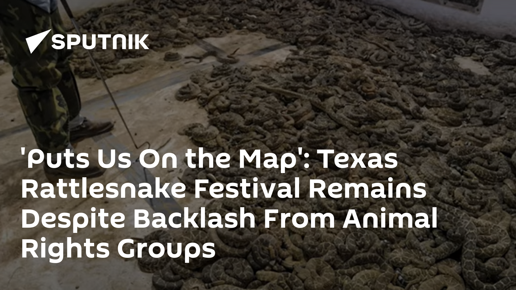 'Puts Us On the Map': Texas Rattlesnake Festival Remains Despite ...