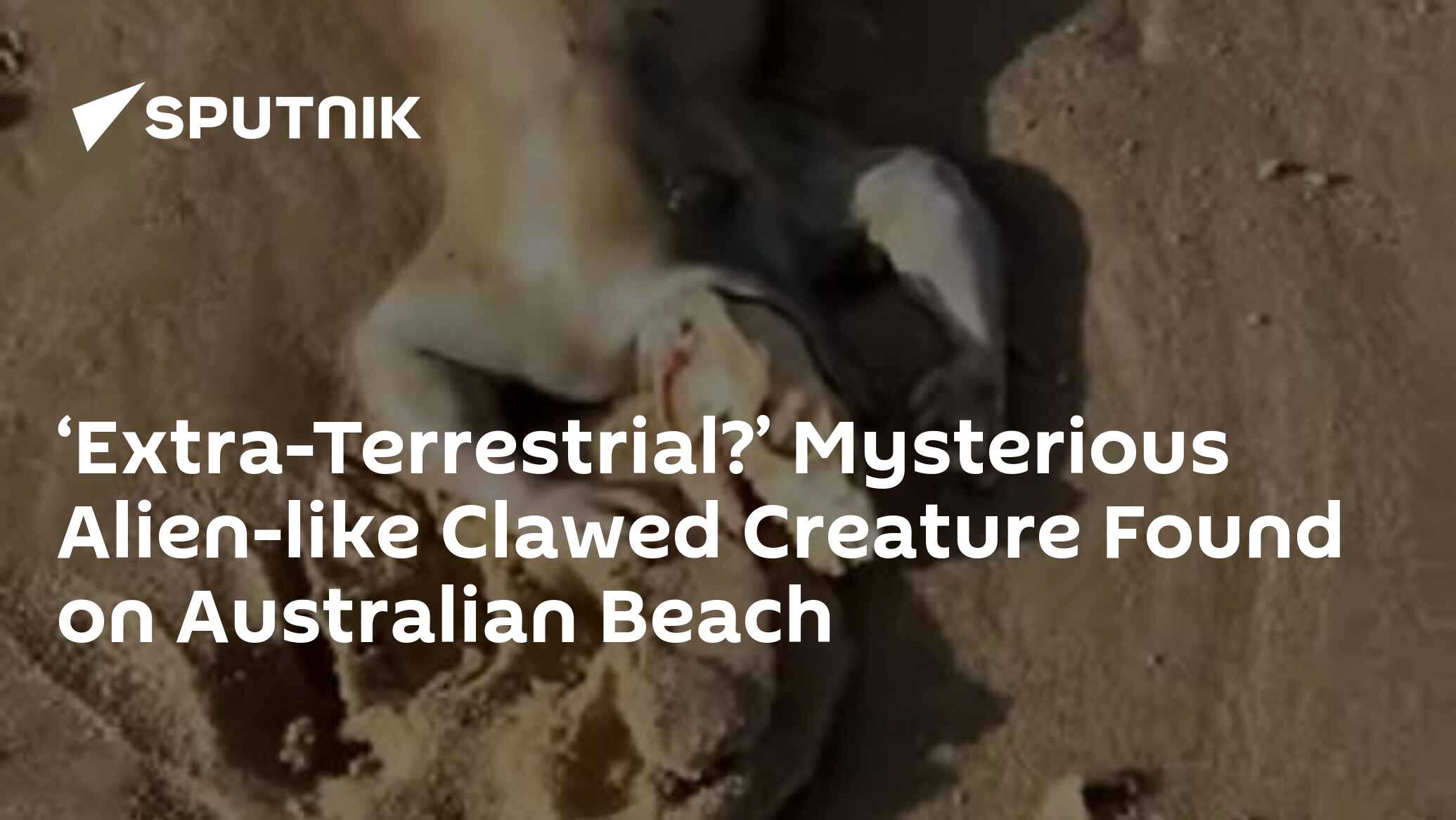 ‘Extra-Terrestrial?’ Mysterious Alien-like Clawed Creature Found on ...