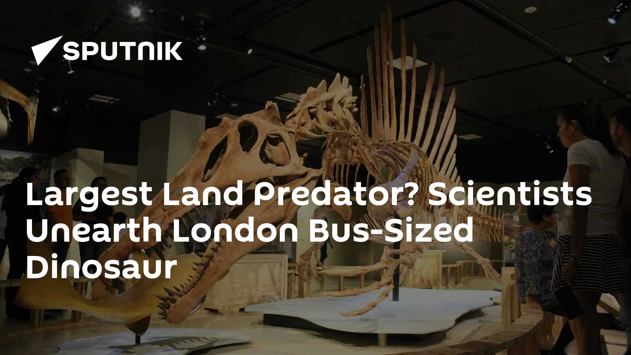 Largest Land Predator? Scientists Unearth London Bus-Sized Dinosaur ...
