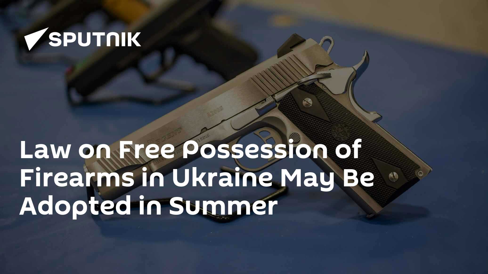 Law on Free Possession of Firearms in Ukraine May Be Adopted in Summer ...