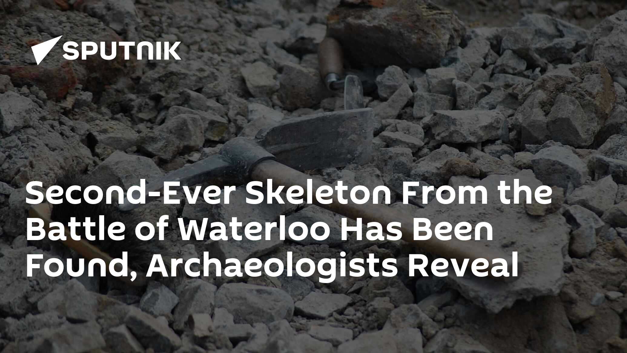 Second-Ever Skeleton From the Battle of Waterloo Has Been Found ...