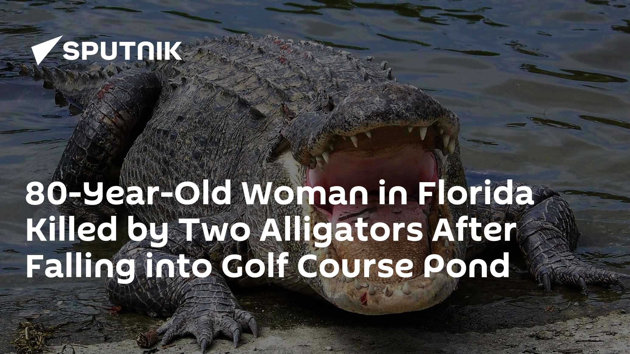 80-Year-Old Woman in Florida Killed by Two Alligators After Falling ...