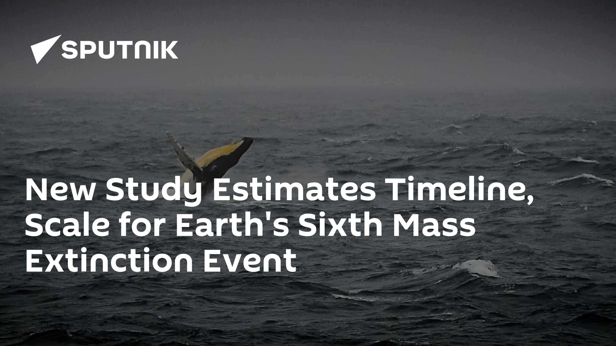 New Study Estimates Timeline, Scale for Earth's Sixth Mass Extinction ...