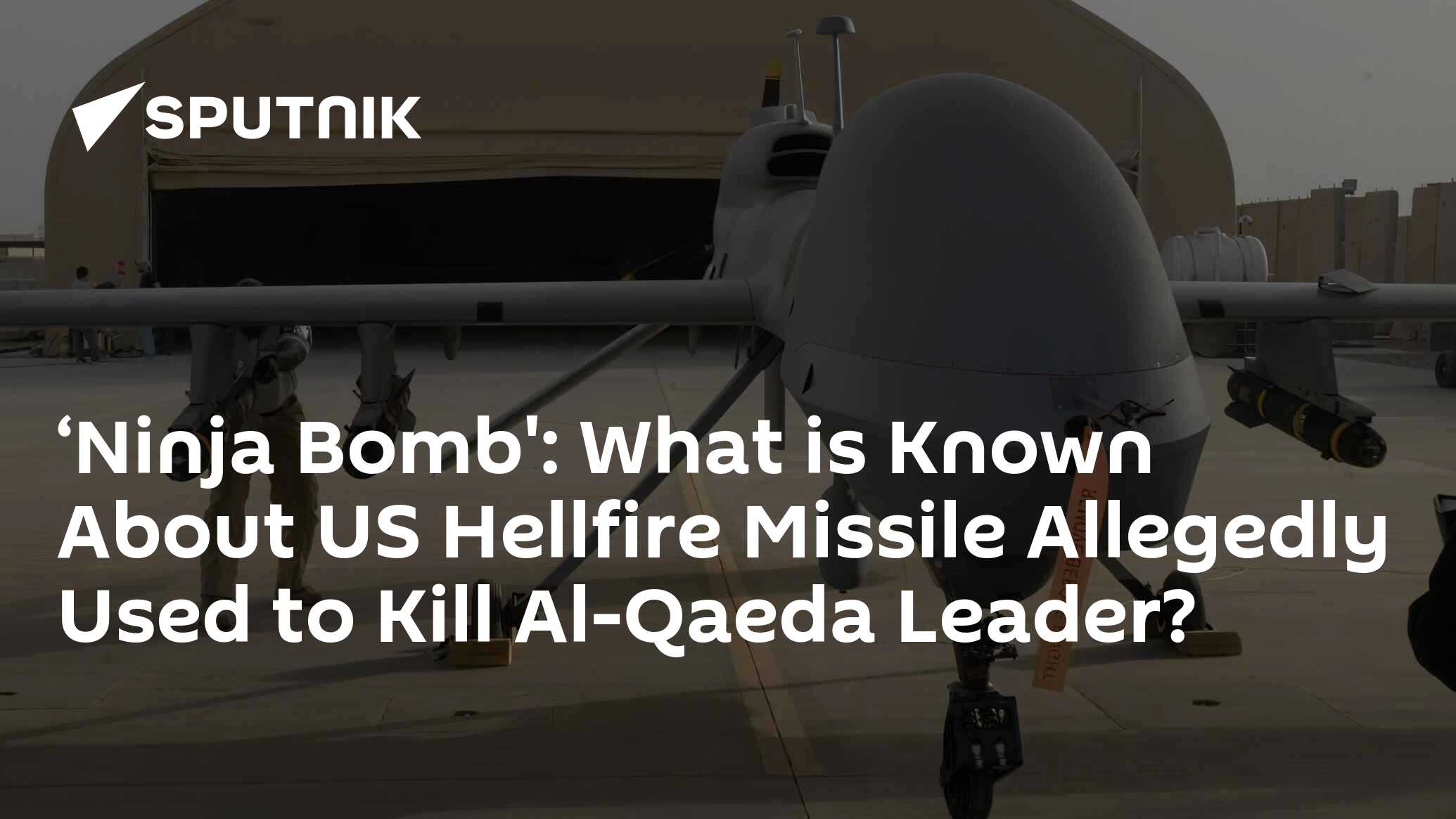‘Ninja Bomb': What is Known About US Hellfire Missile Allegedly Used to ...