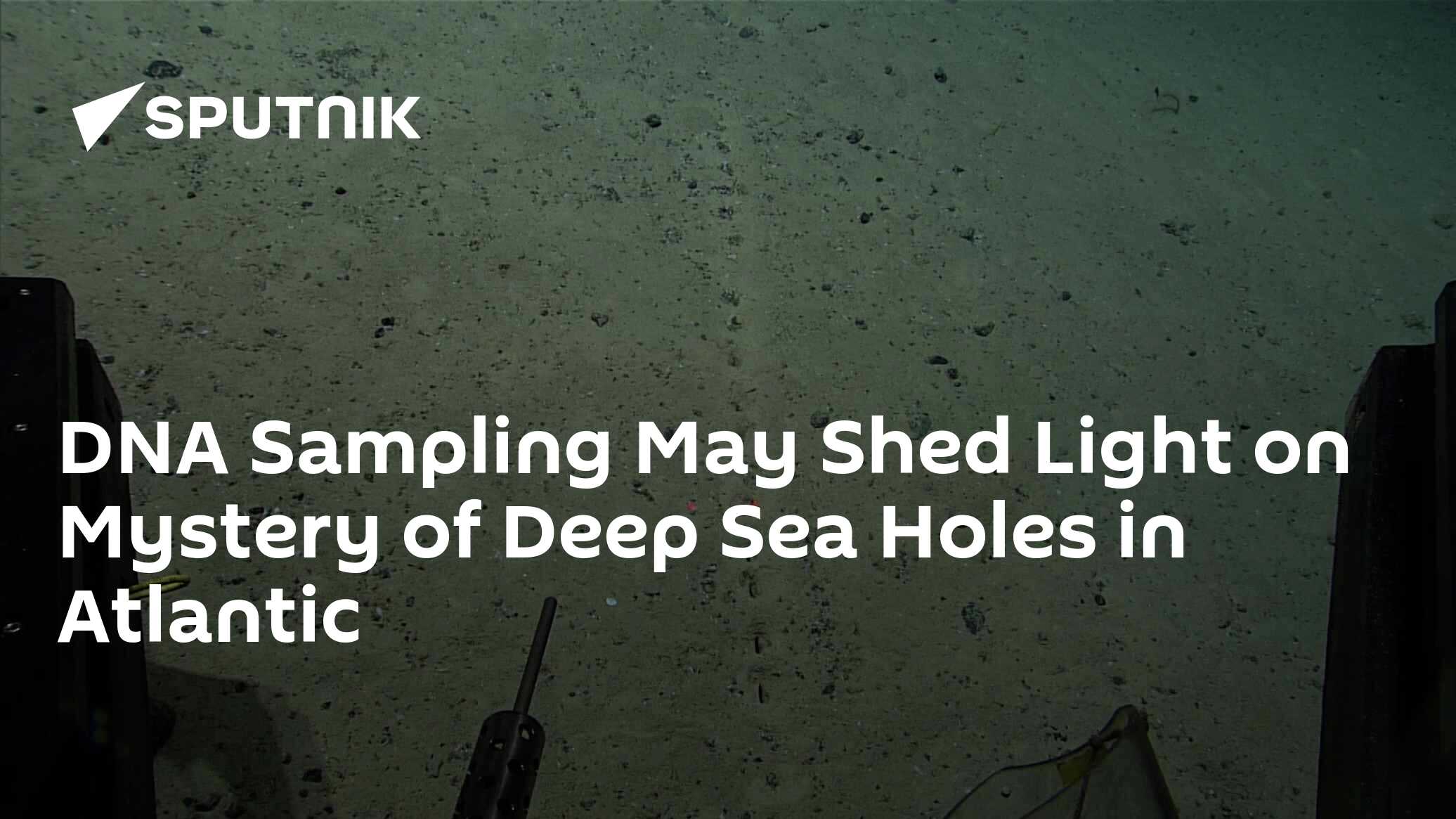 DNA Sampling May Shed Light on Mystery of Deep Sea Holes in Atlantic ...