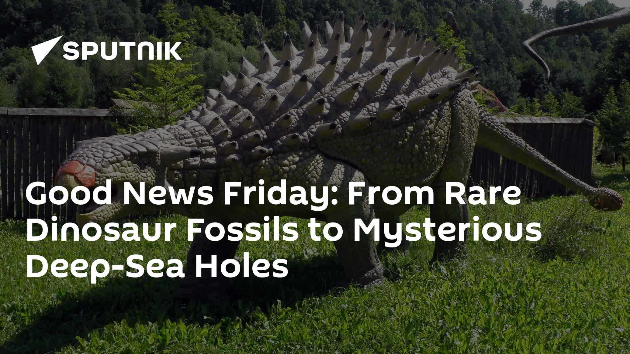 Good News Friday: From Rare Dinosaur Fossils to Mysterious Deep-Sea ...