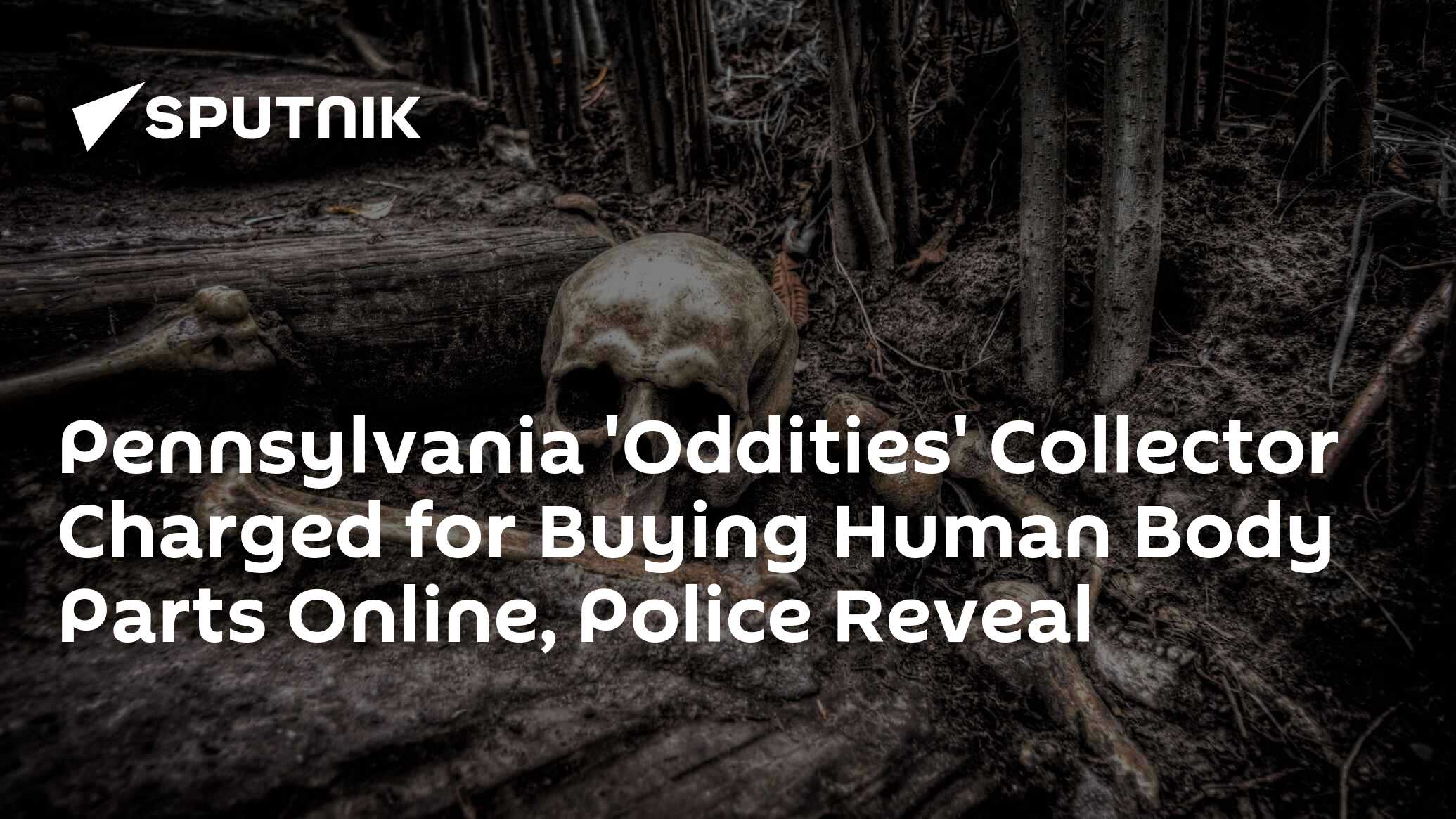 Pennsylvania 'Oddities' Collector Charged for Buying Human Body Parts ...